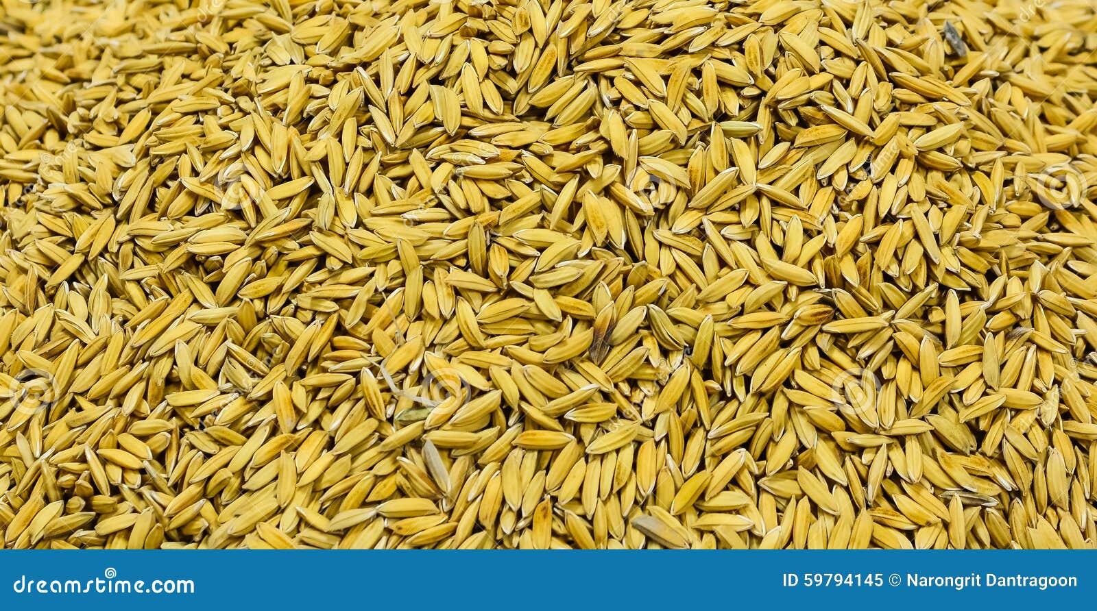 Close Up Shot of Brown Raw Rice Texture . Stock Image - Image of object ...