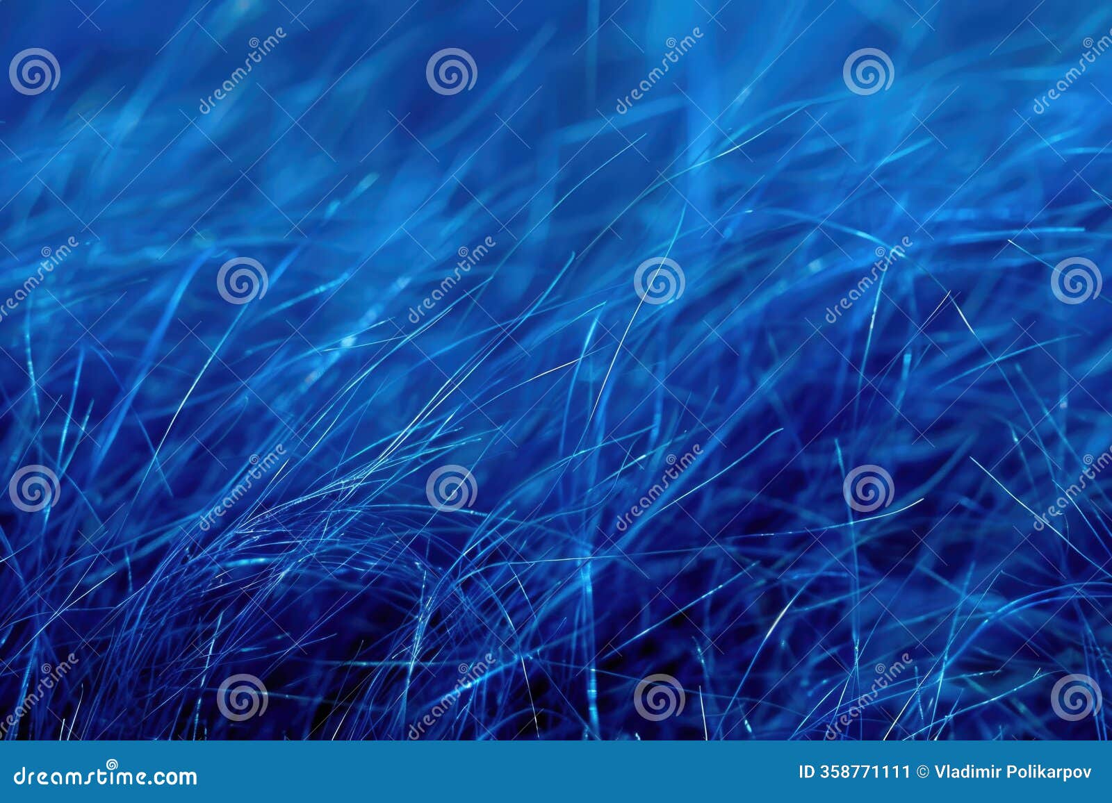 A Close-up Shot of a Bunch of Blue Grass with Natural Texture and Color ...
