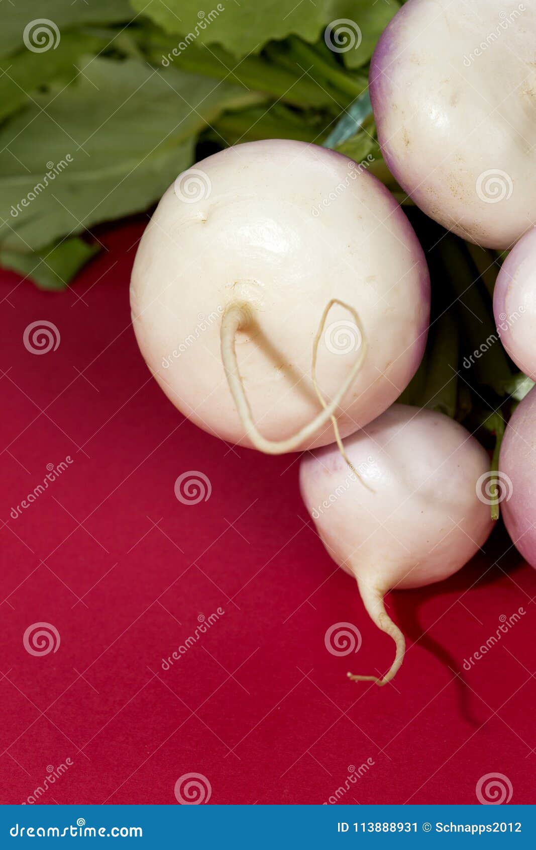 Close Up Shot of a Bunch of Turnips Stock Image - Image of studio, food ...