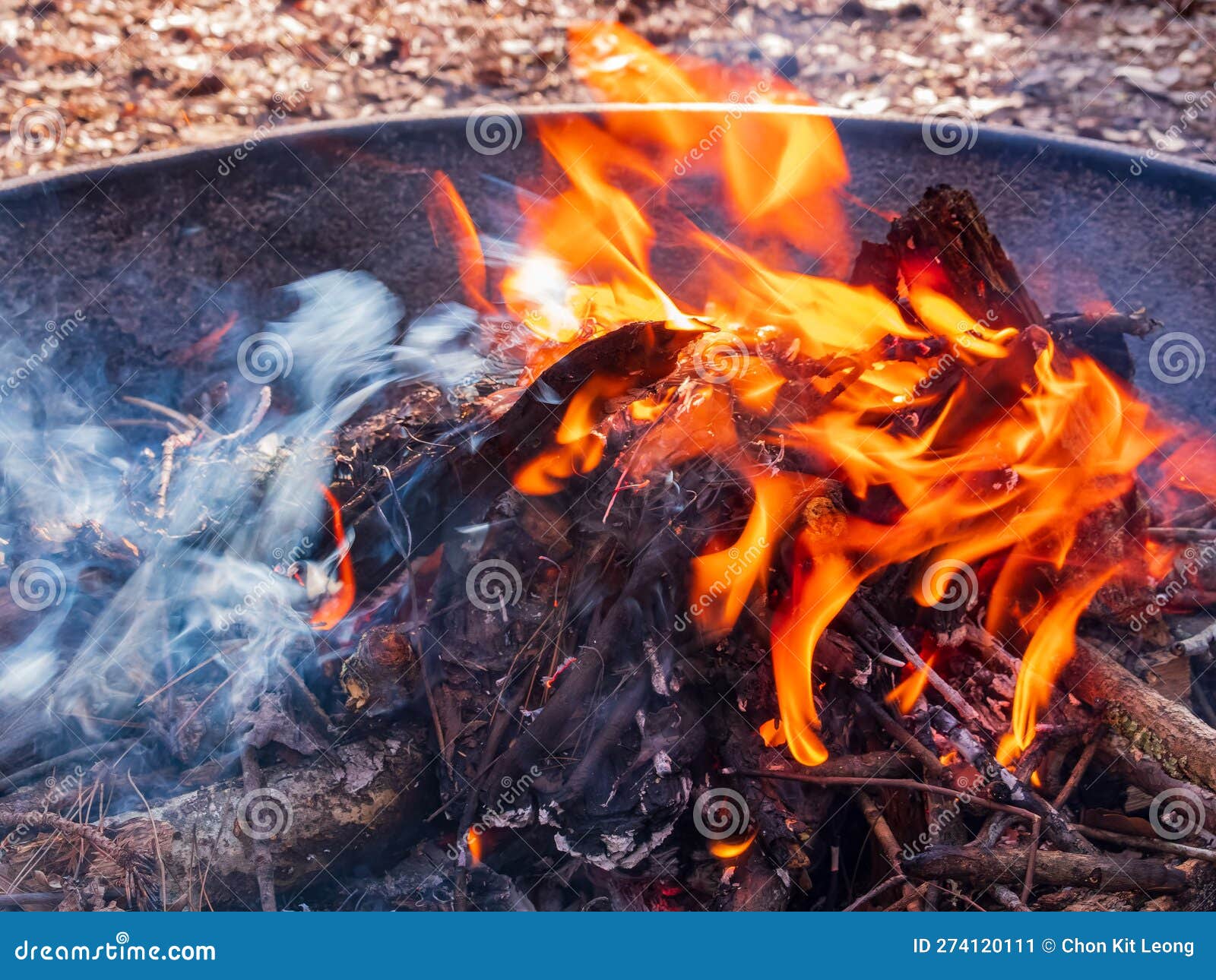Close Up Shot of a Camp Fire in Beavers Bend State Park Stock Image ...