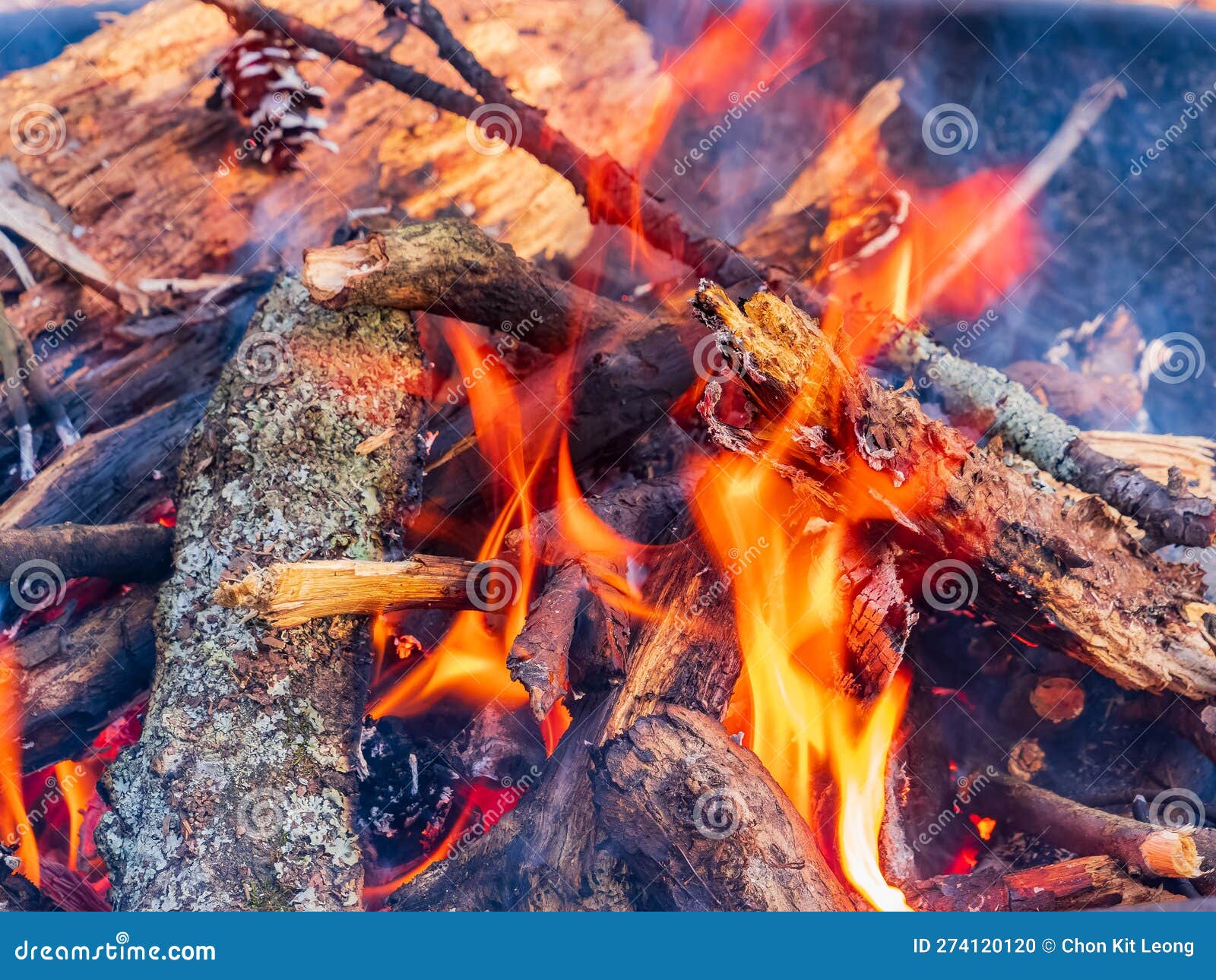 Close Up Shot of a Camp Fire in Beavers Bend State Park Stock Photo ...