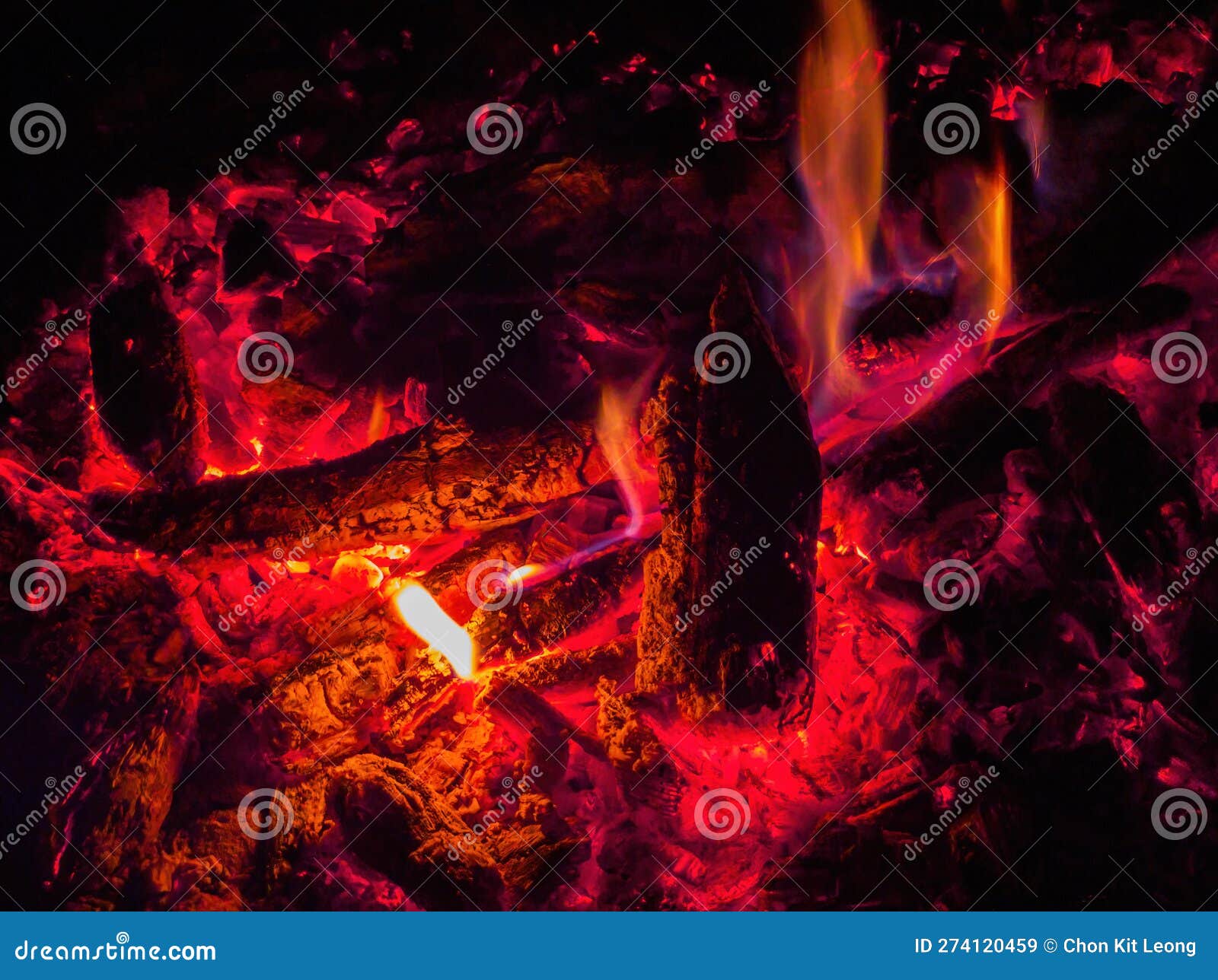Close Up Shot of a Camp Fire in Beavers Bend State Park Editorial Stock ...