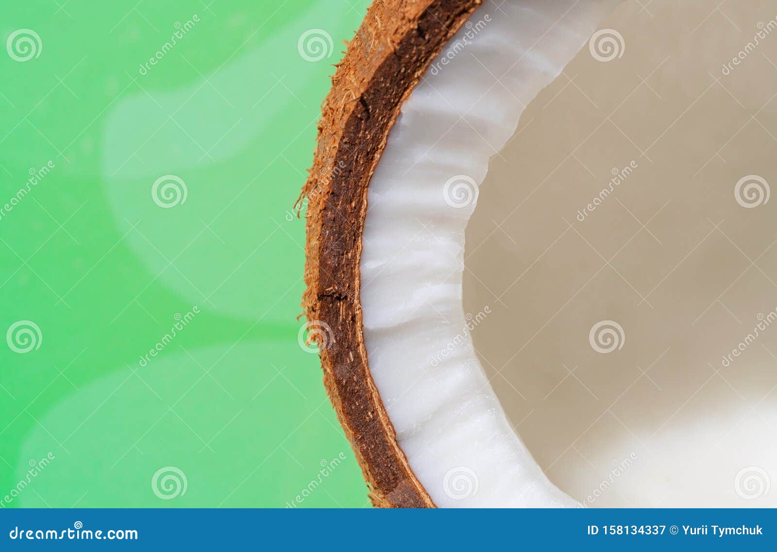 Closeup Shot of Coconut Texture with Copyspace, Coconut Half on Green ...