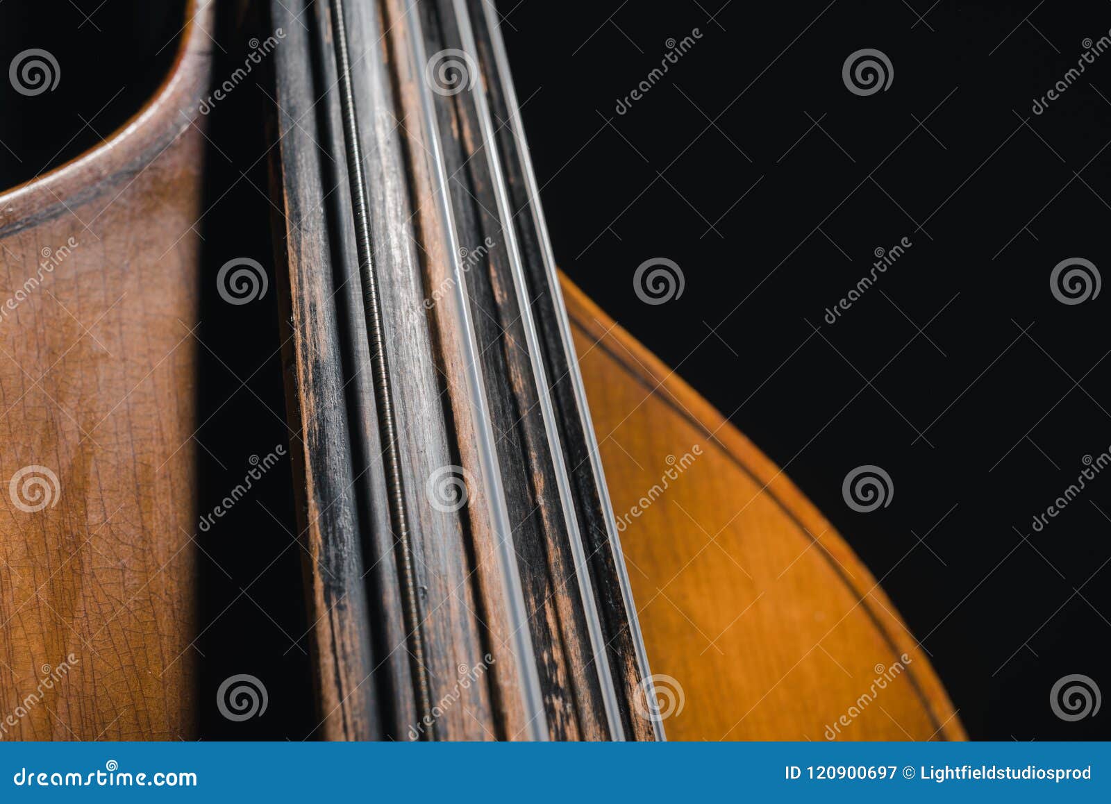 Close-up Shot of Double Bass Stock Image - Image of copy, contrabass ...
