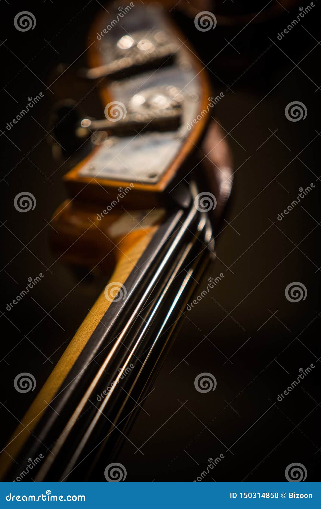 Double Bass Scroll and Tuning Pegs Stock Photo - Image of contrabass ... Double Bass Scroll and Tuning Pegs Stock Photo - Image of contrabass ...