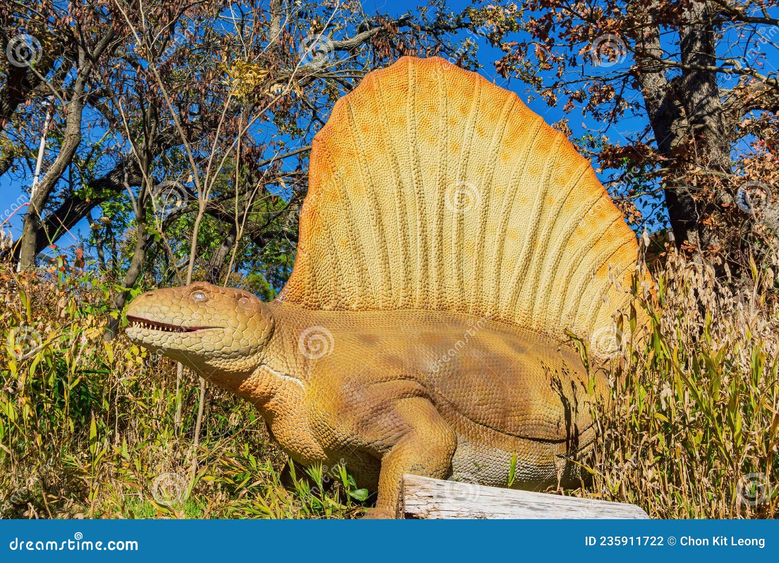Edaphosaurus Dinosaur Stock Photos - Free & Royalty-Free Stock Photos ...
