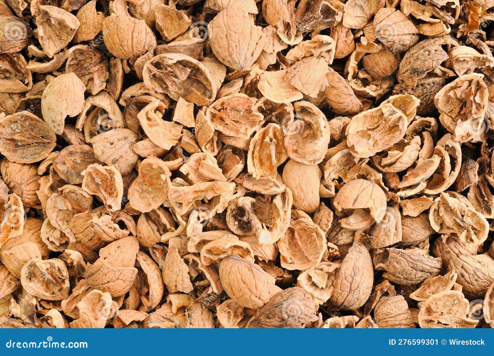 Close-up Shot of Empty Shells of Walnuts and Nuts Scattered on a Table ...