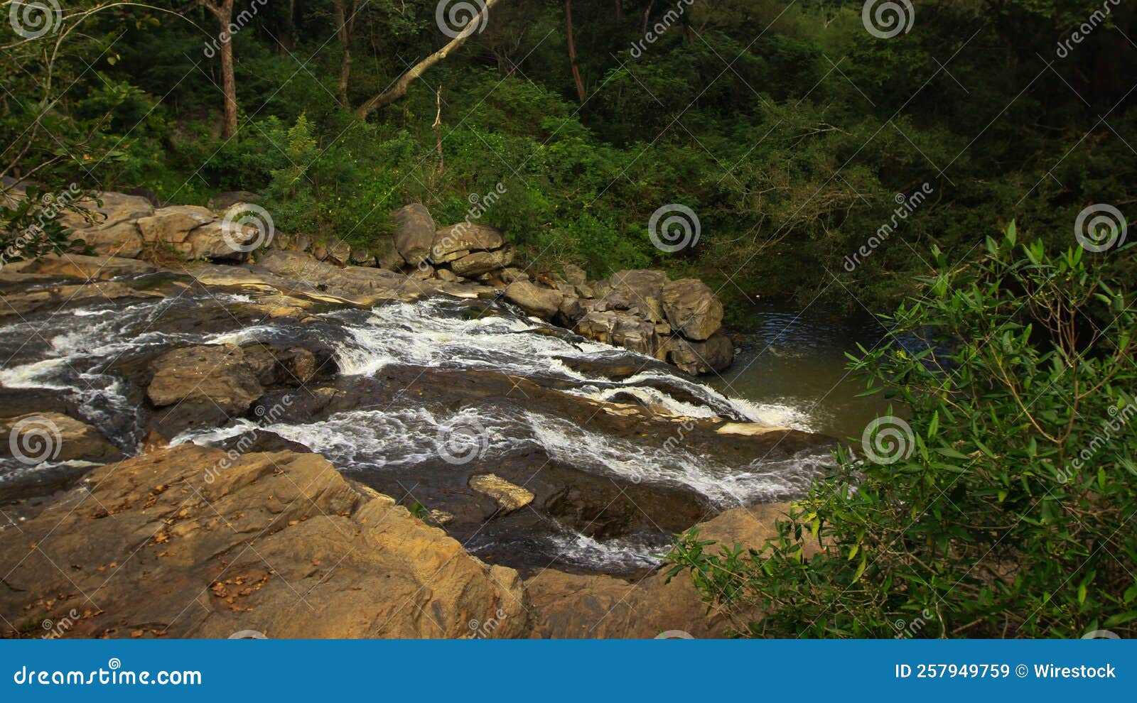 Close-up Shot of a Flowing River in the Woods Stock Image - Image of ...