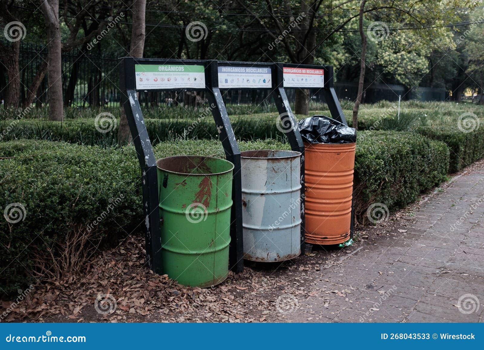 Close-up Shot of Garbage Sorting Cans in a Park Stock Image - Image of ...