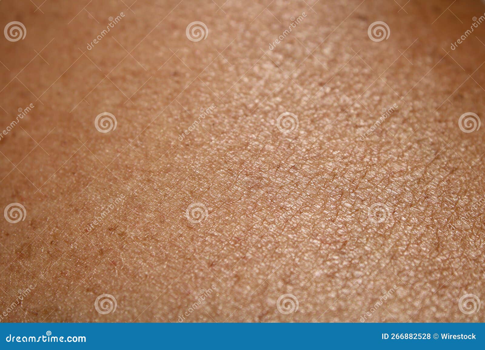 Close-up Shot of a Human Skin Texture Stock Photo - Image of young ...