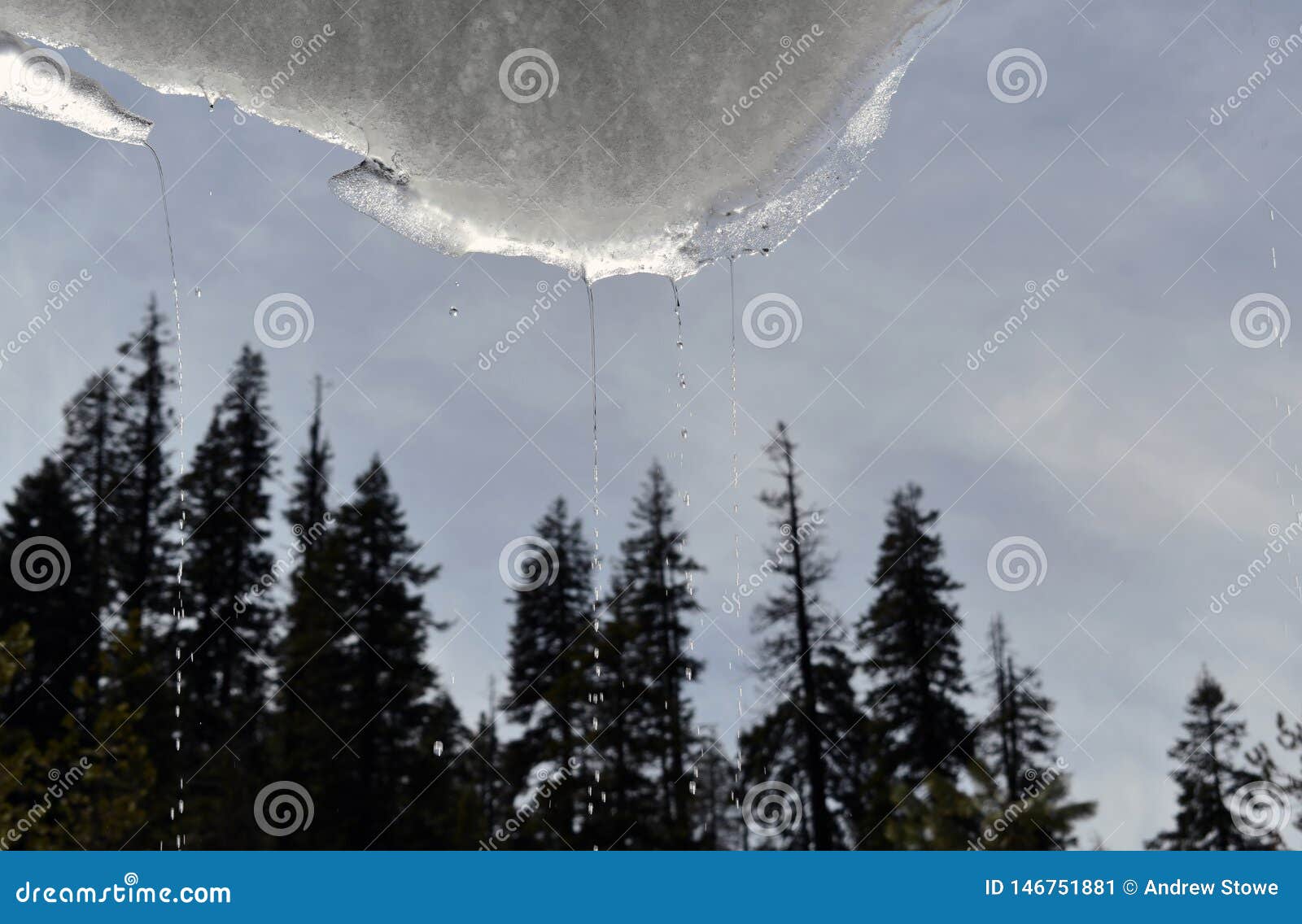 Ice Melting and Dripping Water Stock Image - Image of sparkling, macro ...