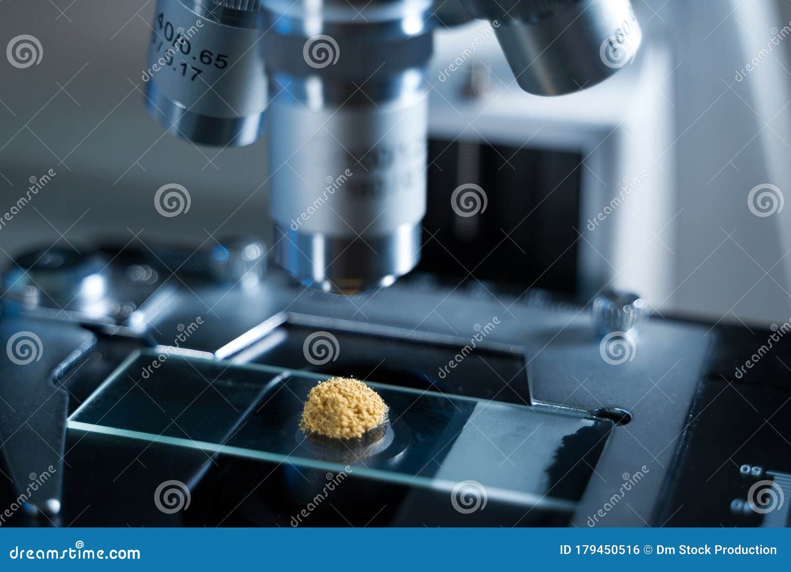Laboratory Microscope with Mold Stock Photo - Image of bacterium ...