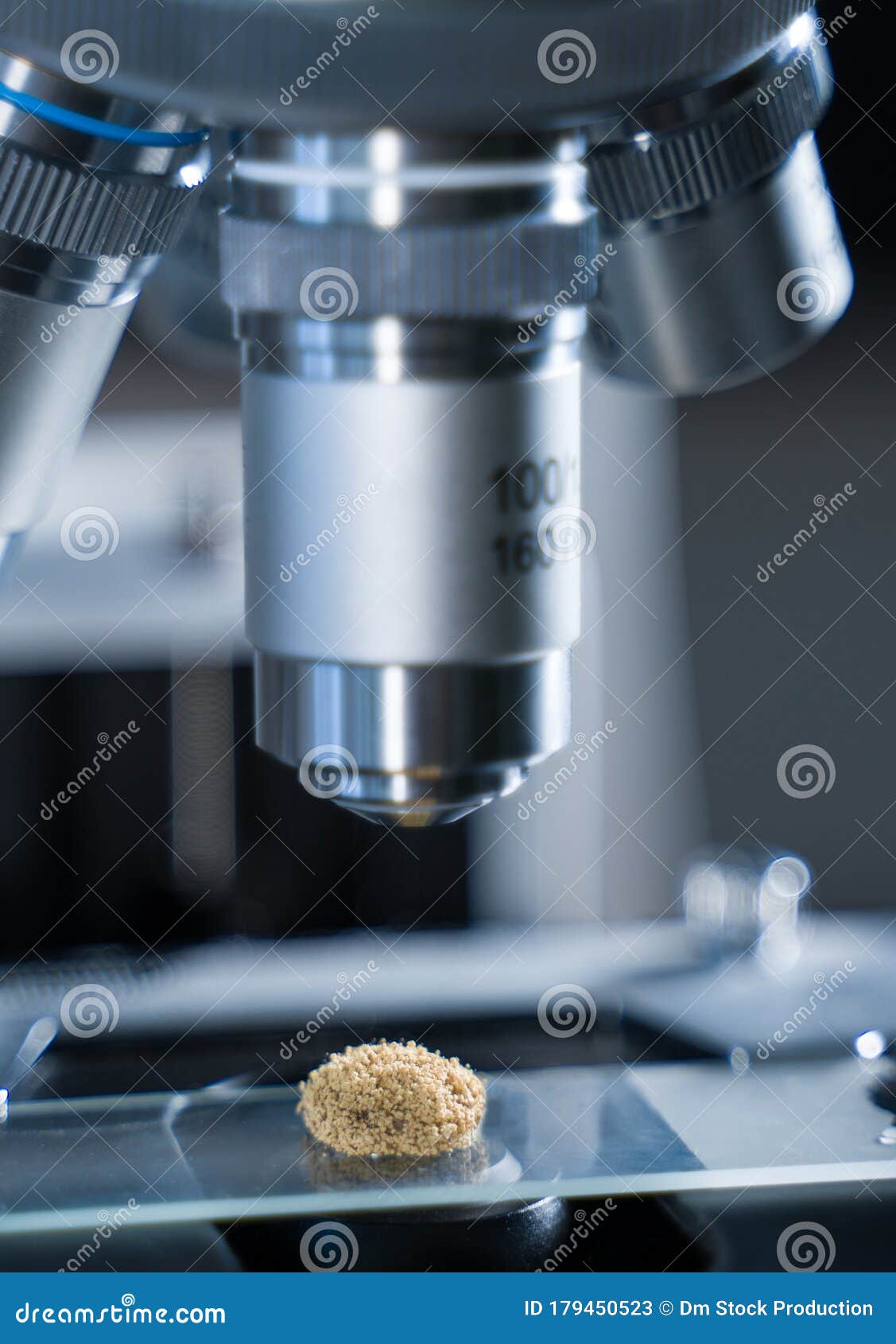 Laboratory Microscope with Mold Stock Image - Image of education ...