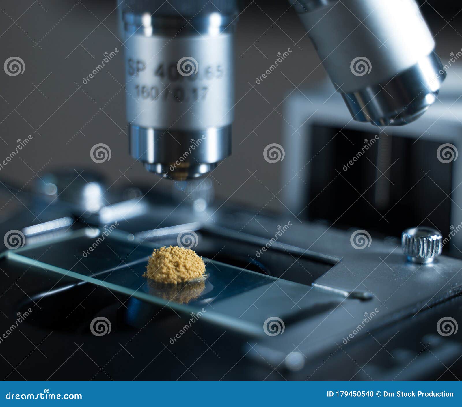 Laboratory Microscope with Mold Stock Photo - Image of biotechnology ...
