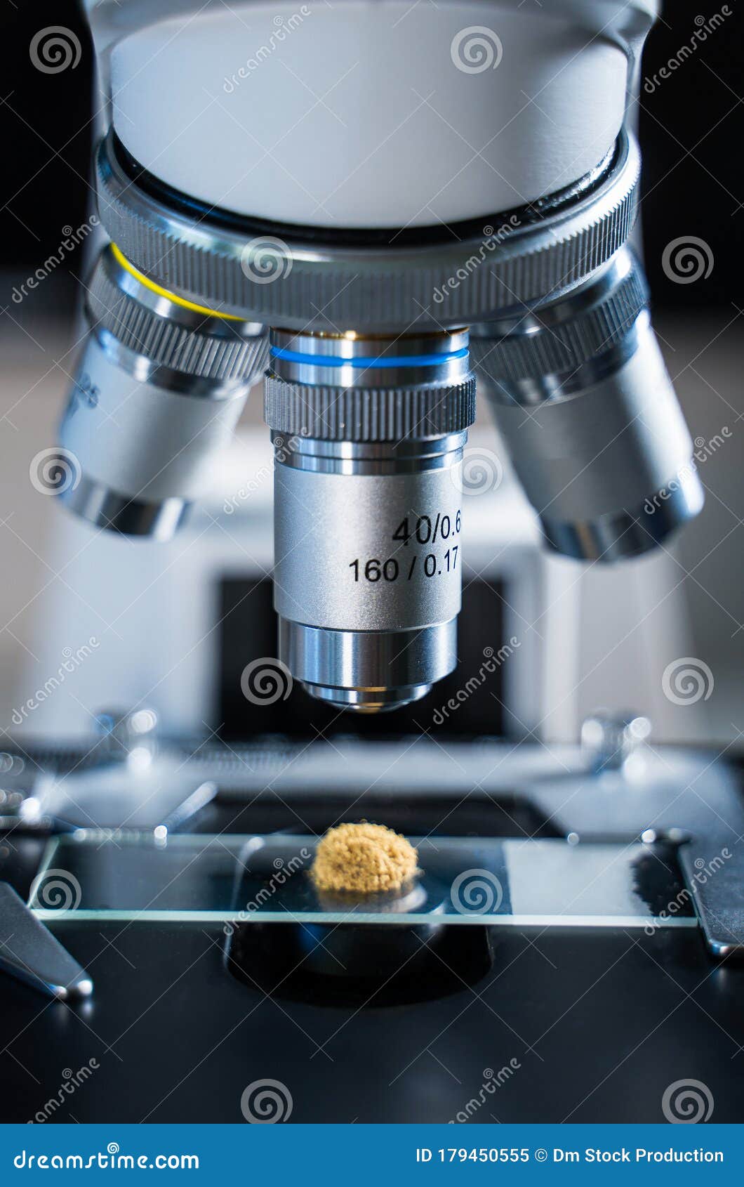 Laboratory Microscope with Mold Stock Image - Image of exploration ...
