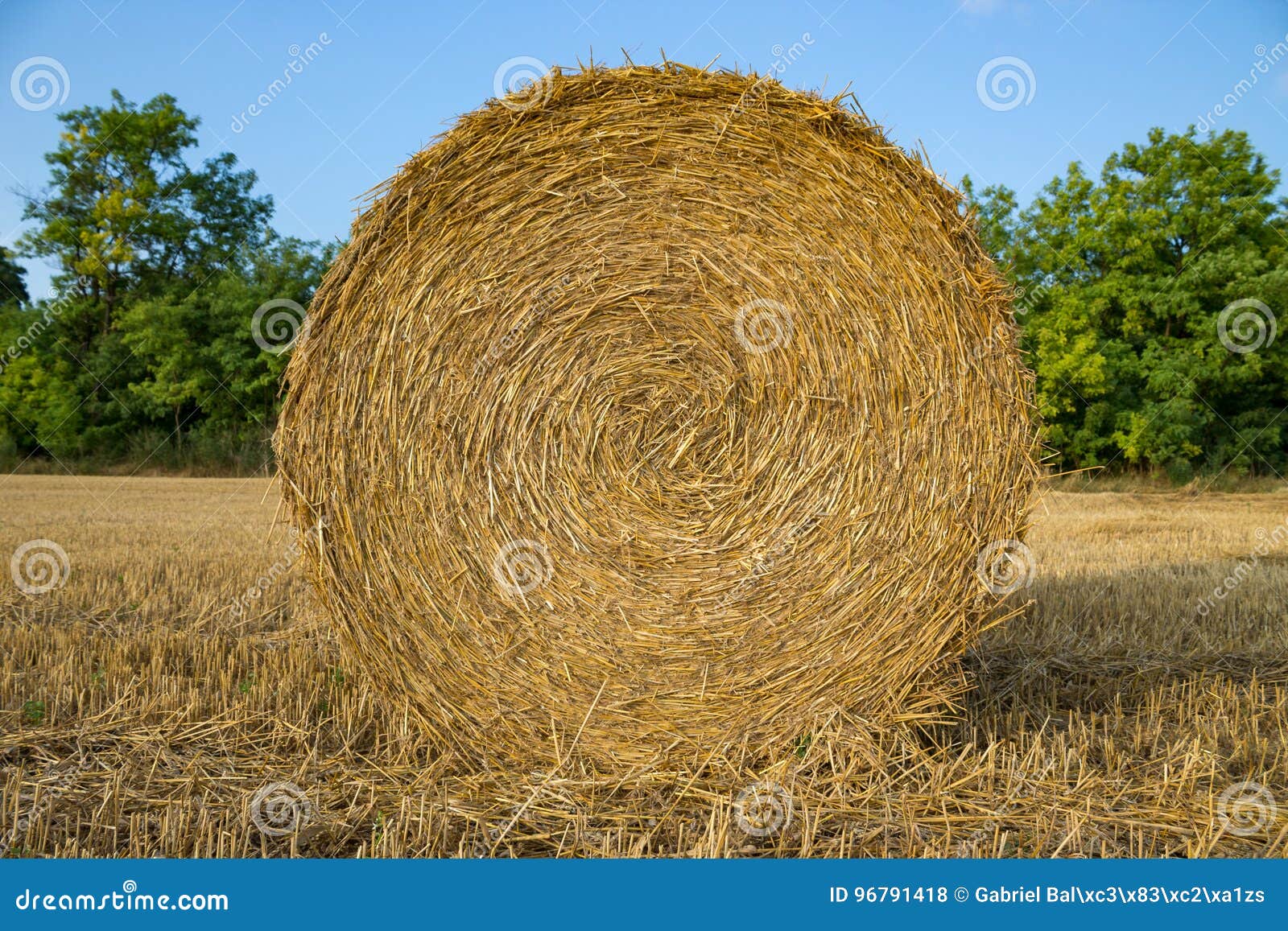A Close-up Shot of a Large Bail of Hay Stock Photo - Image of large ...