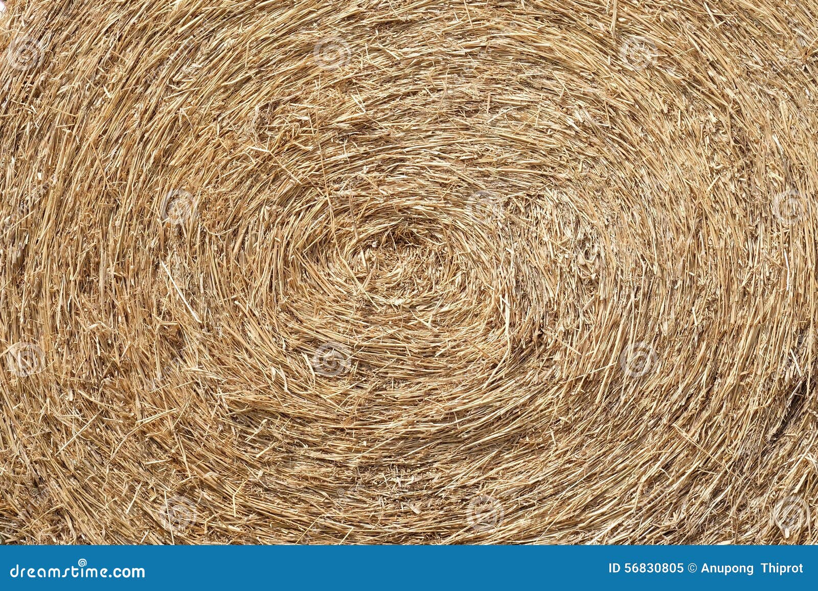 A Close-up Shot of a Large Bail of Hay, Roll of Hay Stock Image - Image ...