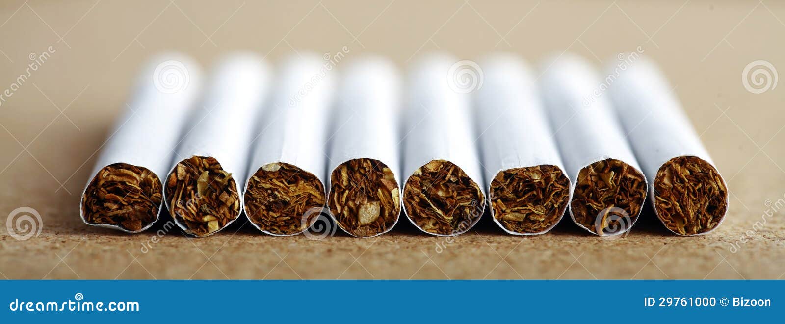Line of cigarettes stock photo. Image of addiction, nicotine - 29761000