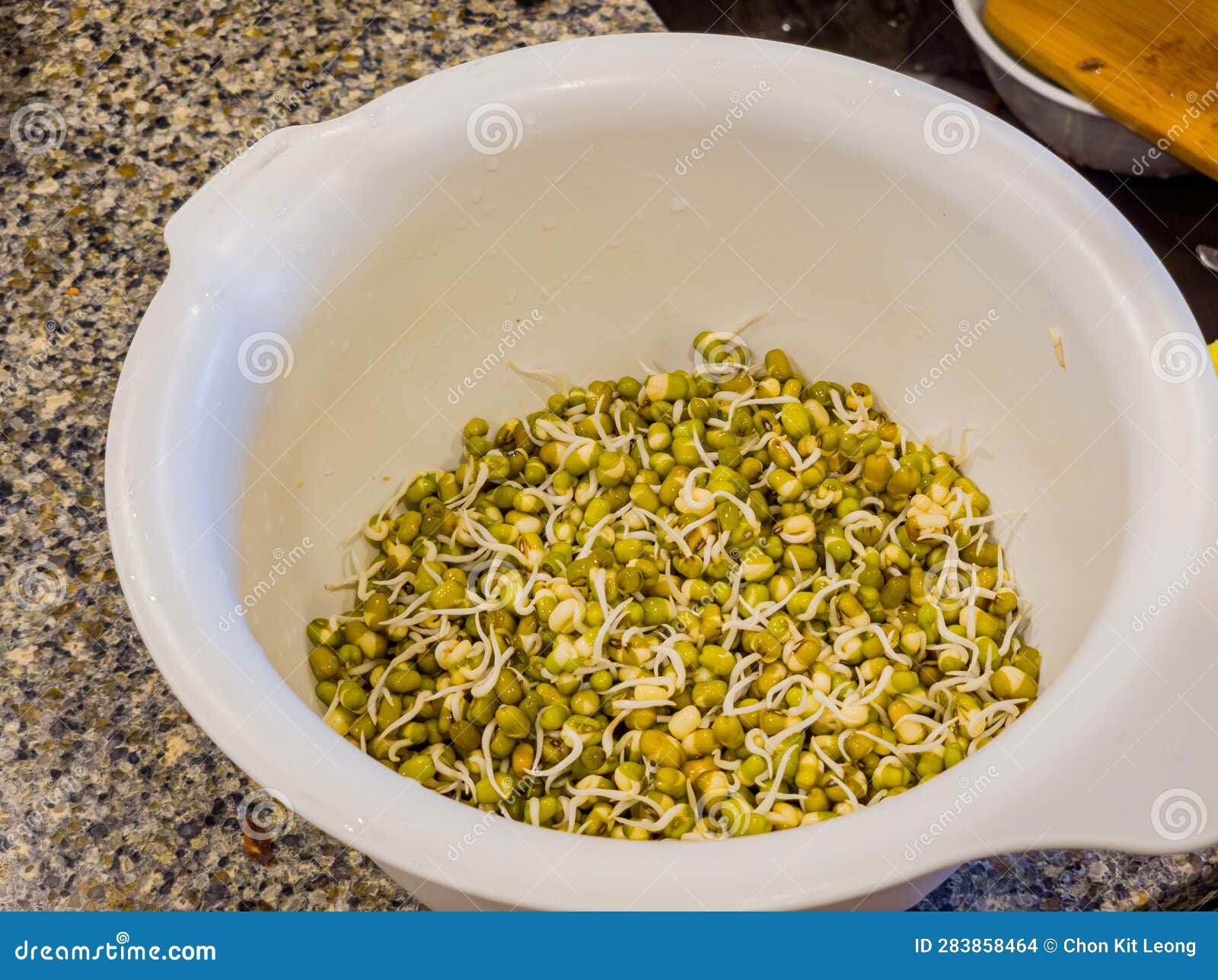 Close Up Shot of Many Mung Beans in Germination Stock Photo - Image of ...