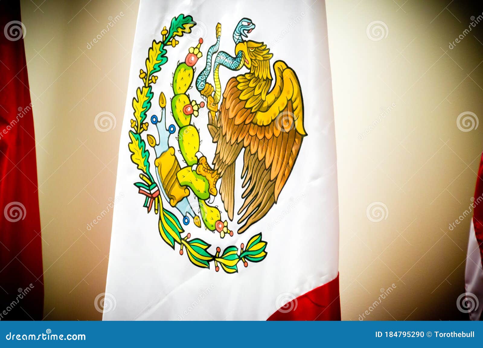 Close up of a Mexican Flag stock photo. Image of light - 184795290