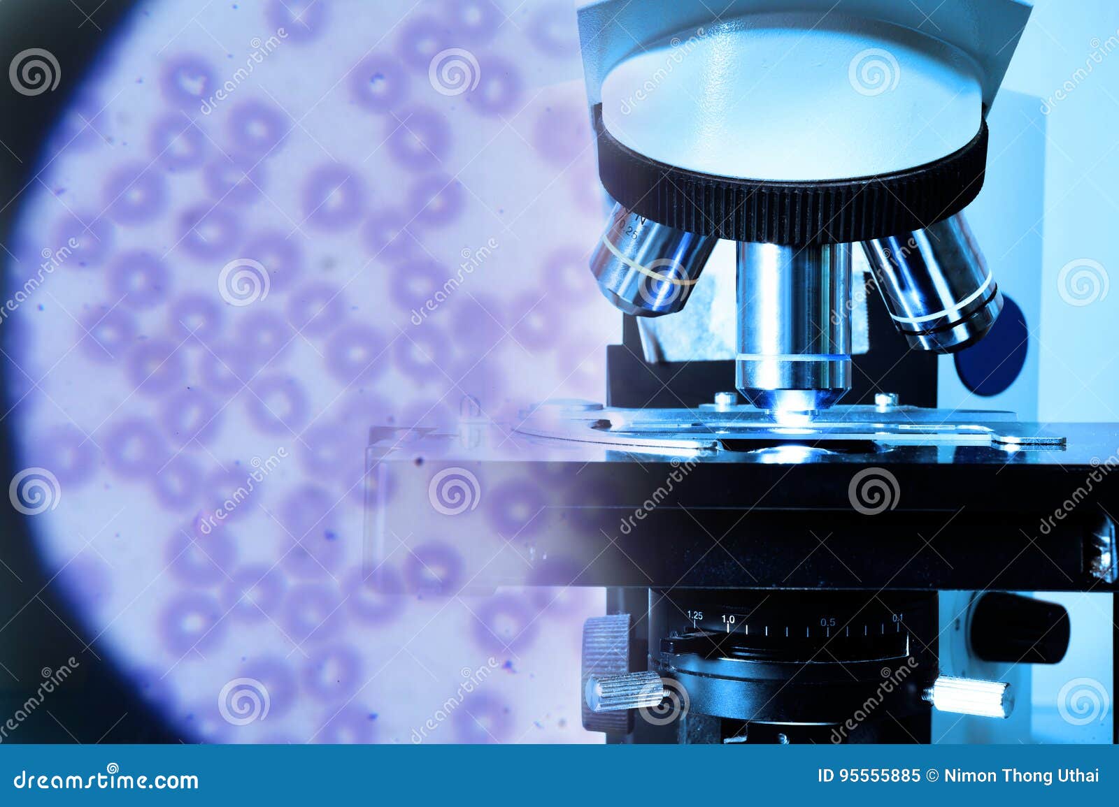 Close Up Shot of Microscope at the Blood Laboratory and Red Blood Cells ...