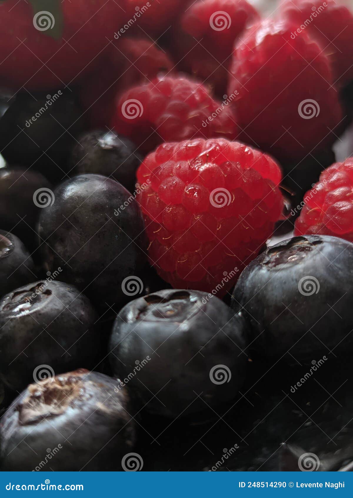 Close Up Shot of a Mix or Berries Stock Photo - Image of color, harvest ...