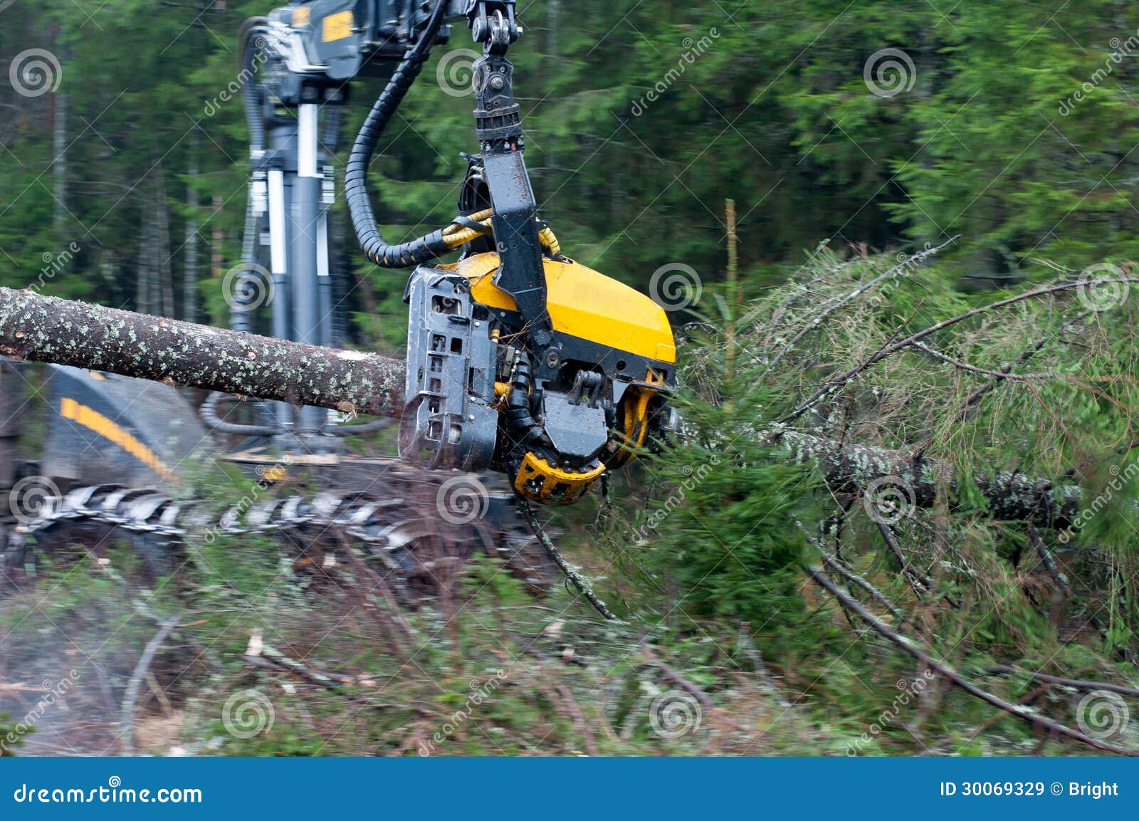 Forest Harvester stock image. Image of forestry, lumber - 30069329