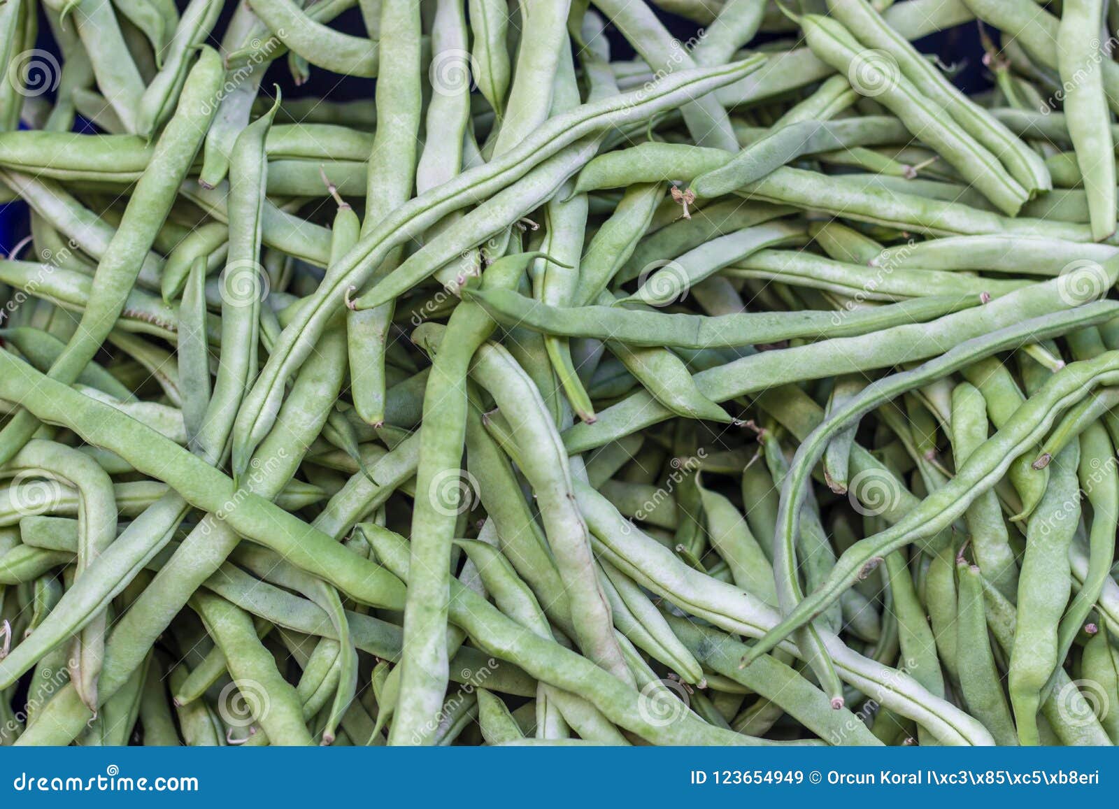 Close-up Shot for Multiple Green Colored String Beans on Plastic Box ...