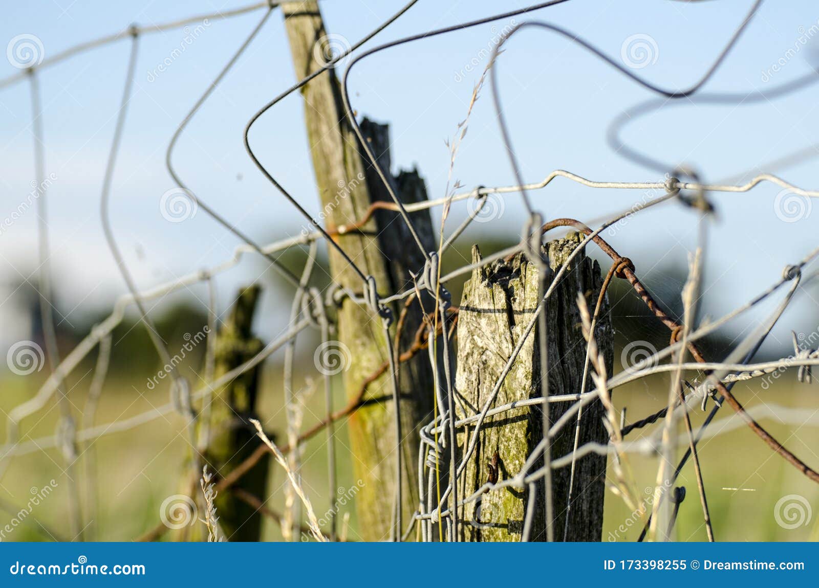 Close Up Shot of Old Broken Fence Stock Image - Image of shot, close ...