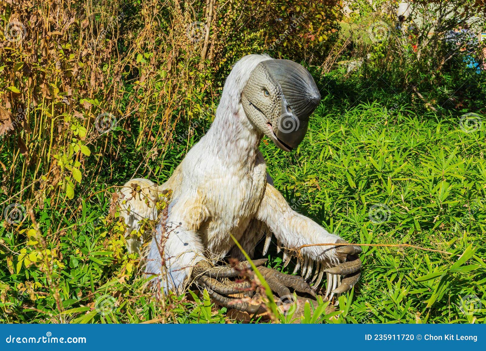 Close Up Shot of Oviraptor Dinosaur Model Stock Photo - Image of sunny ...