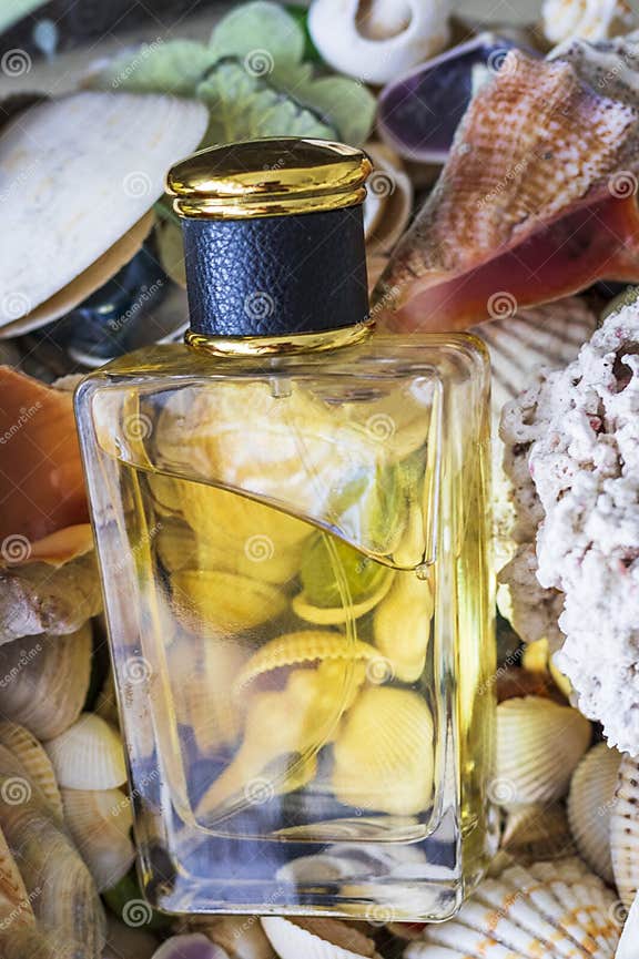 Close Up Shot of the Perfume Bottle. Object Stock Photo - Image of ...