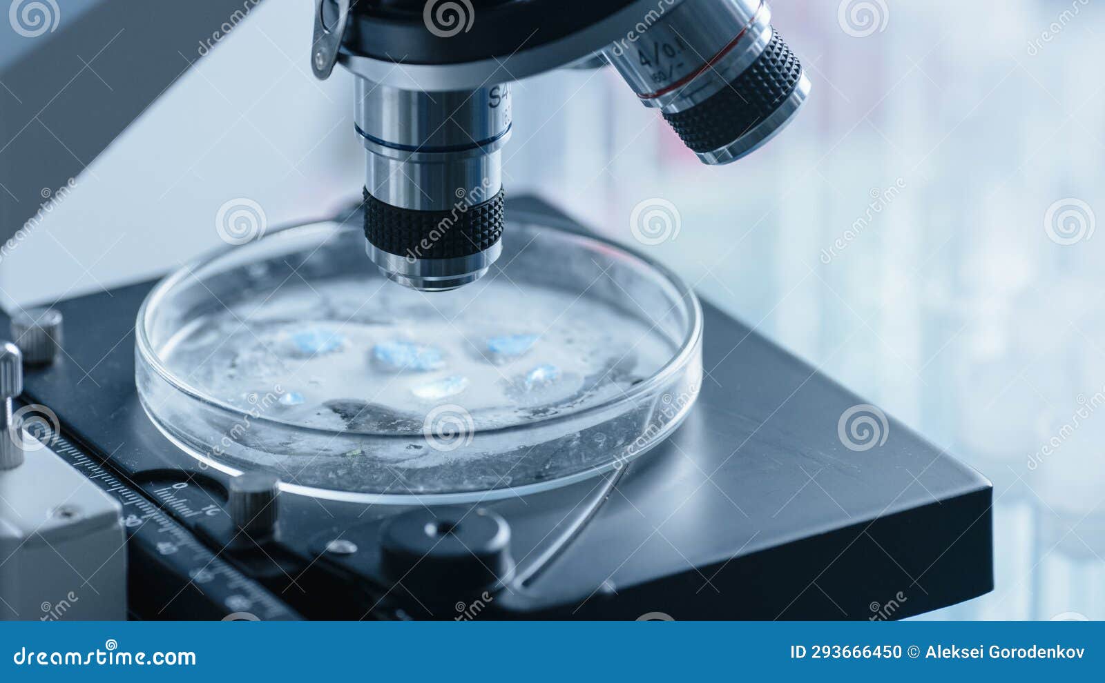 Close Up Shot of a Petri Dish with Genetically Modified Samples Under a ...