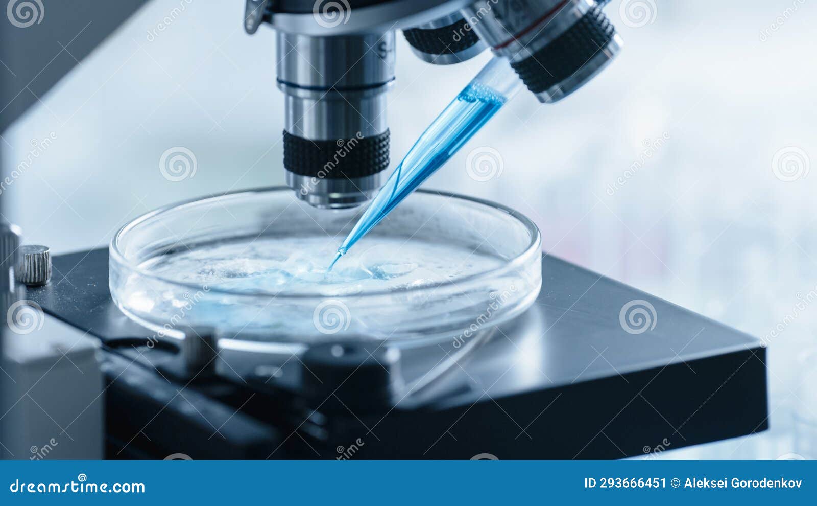 Close Up Shot of a Petri Dish with Genetically Modified Samples Under a ...