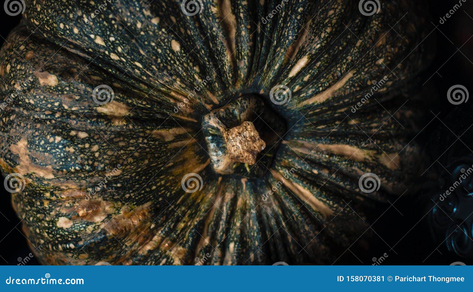 Close Up Shot of a Pumpkin. Full of Details Texture Stock Image - Image ...