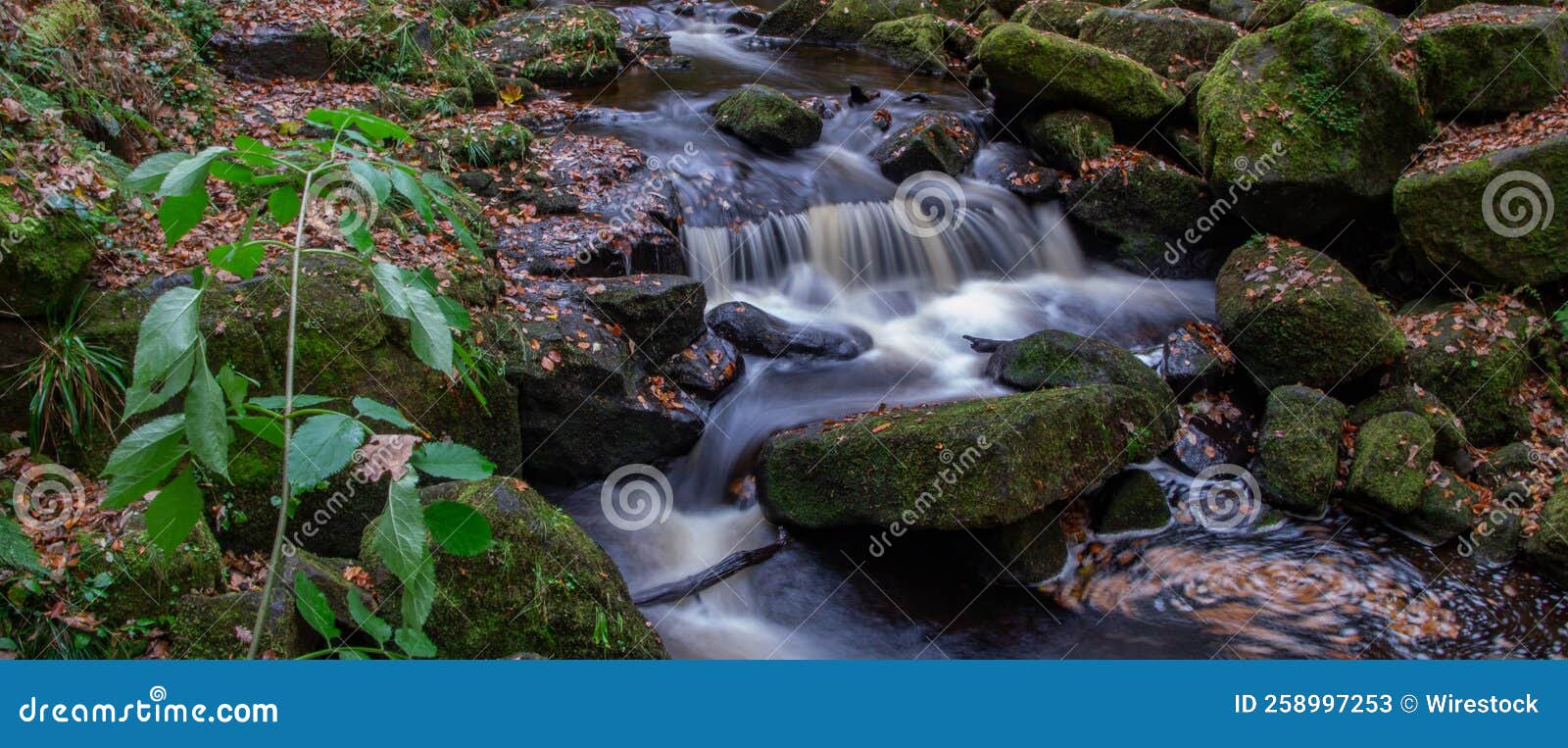 Close-up Shot of a River Flowing Over Mossy Rocks Stock Image - Image ...