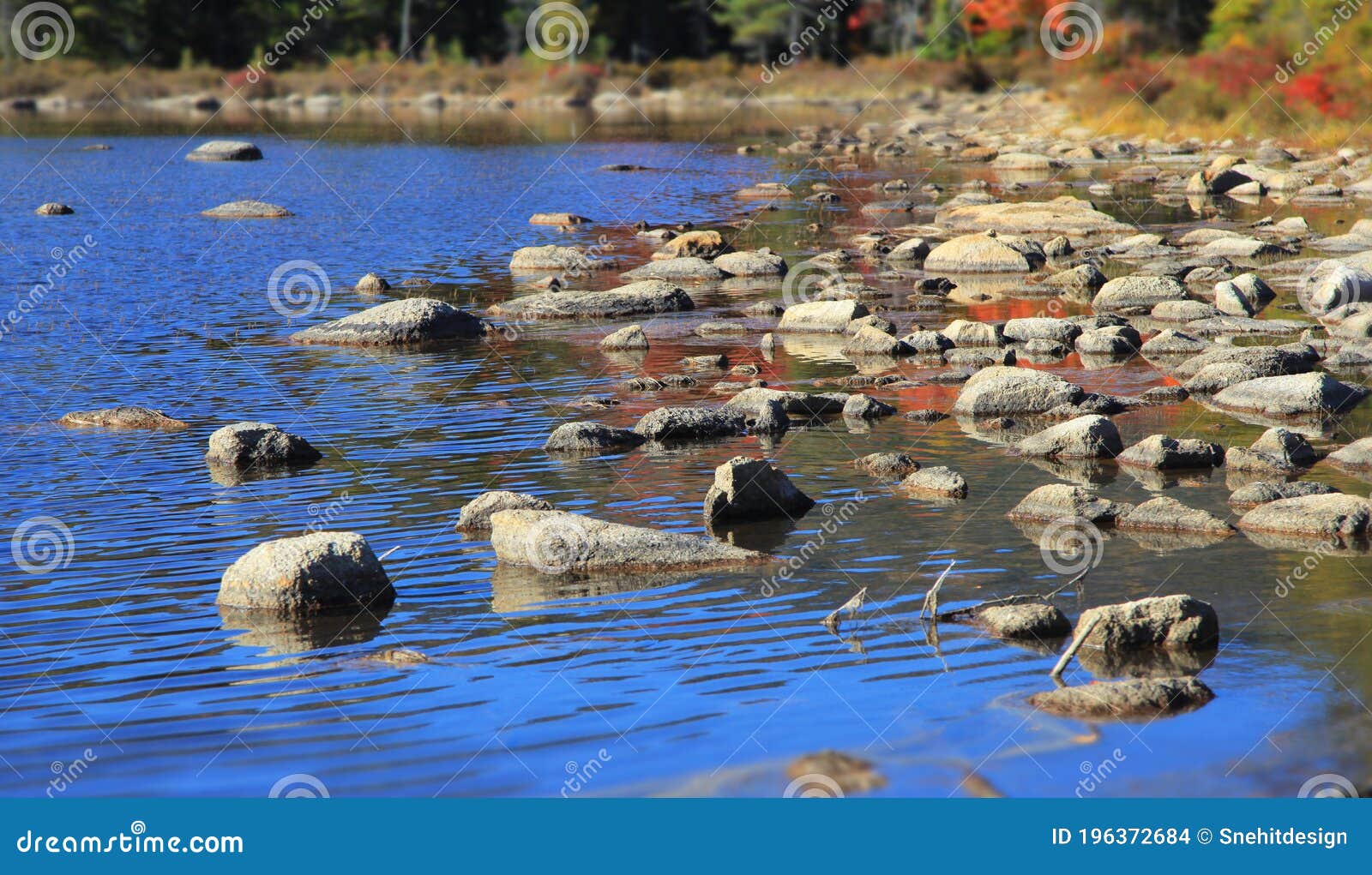 Close Up Shot of Rocks in the Water at the Lake Shore Stock Photo ...