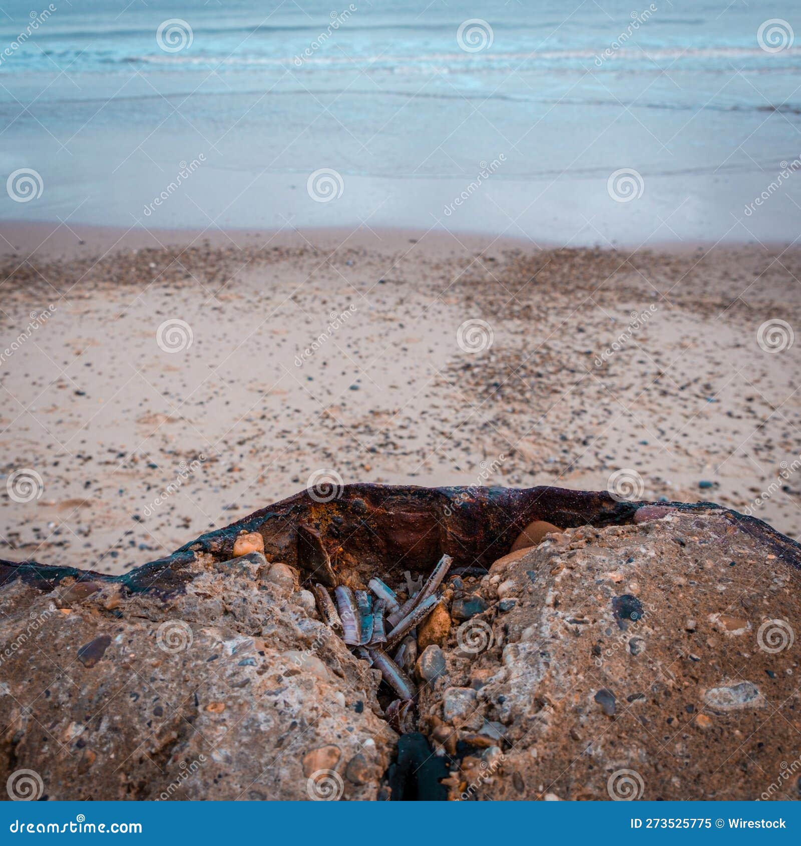 Close-up Shot of a Rocky Beach Shoreline, with Waves Gently Lapping in ...