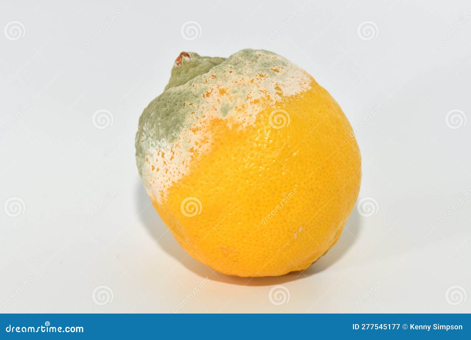 Rotten lemon stock image. Image of lemon, ingredient - 277545177