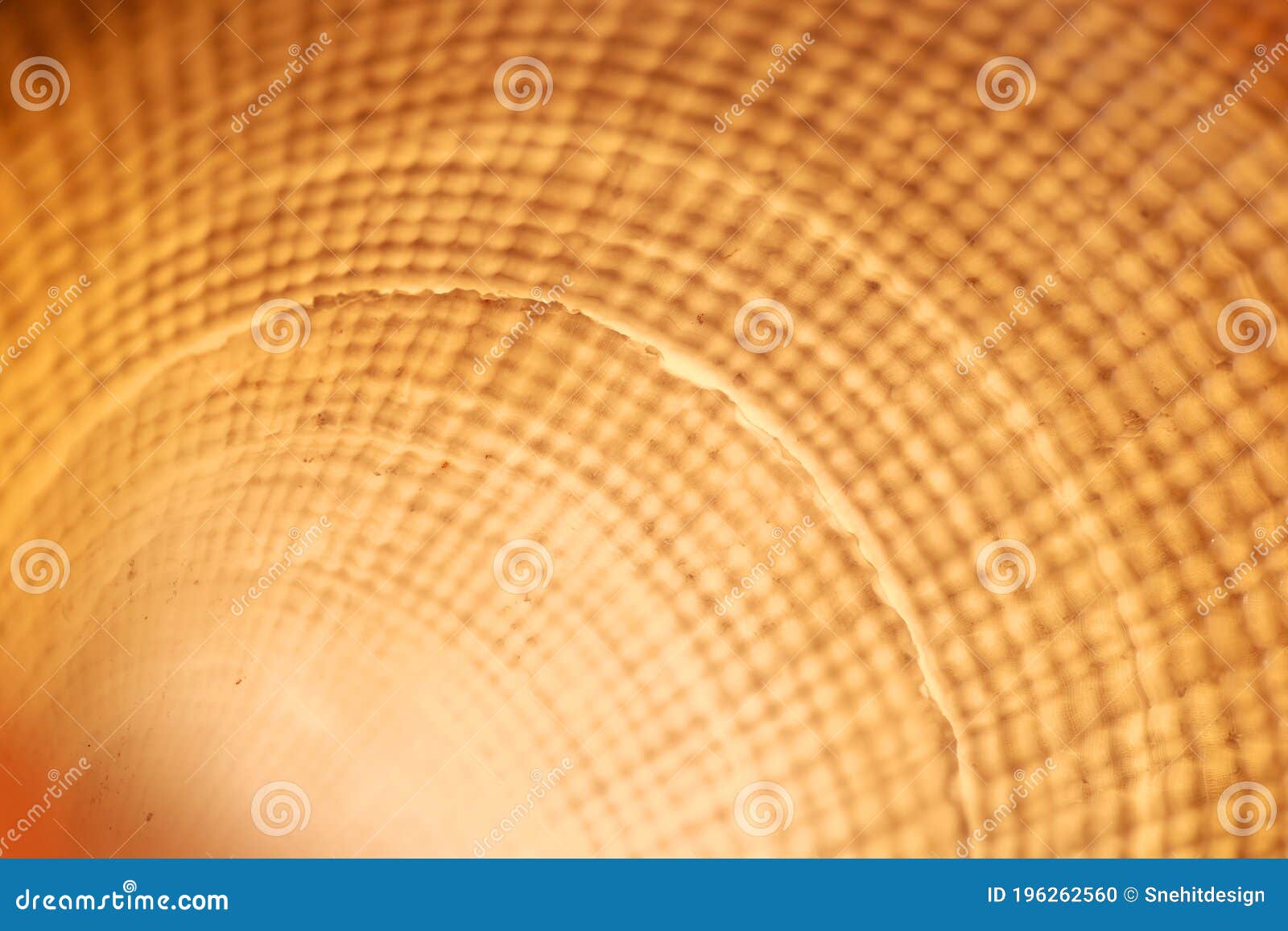 Close Up of Sea Shell Outer Texture Stock Photo - Image of material ...