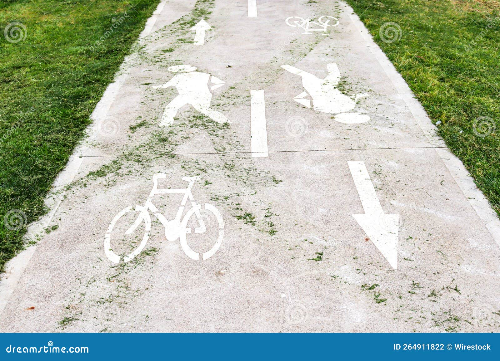 Close-up Shot of "shared Path" Road Markings on a Path Stock Photo ...