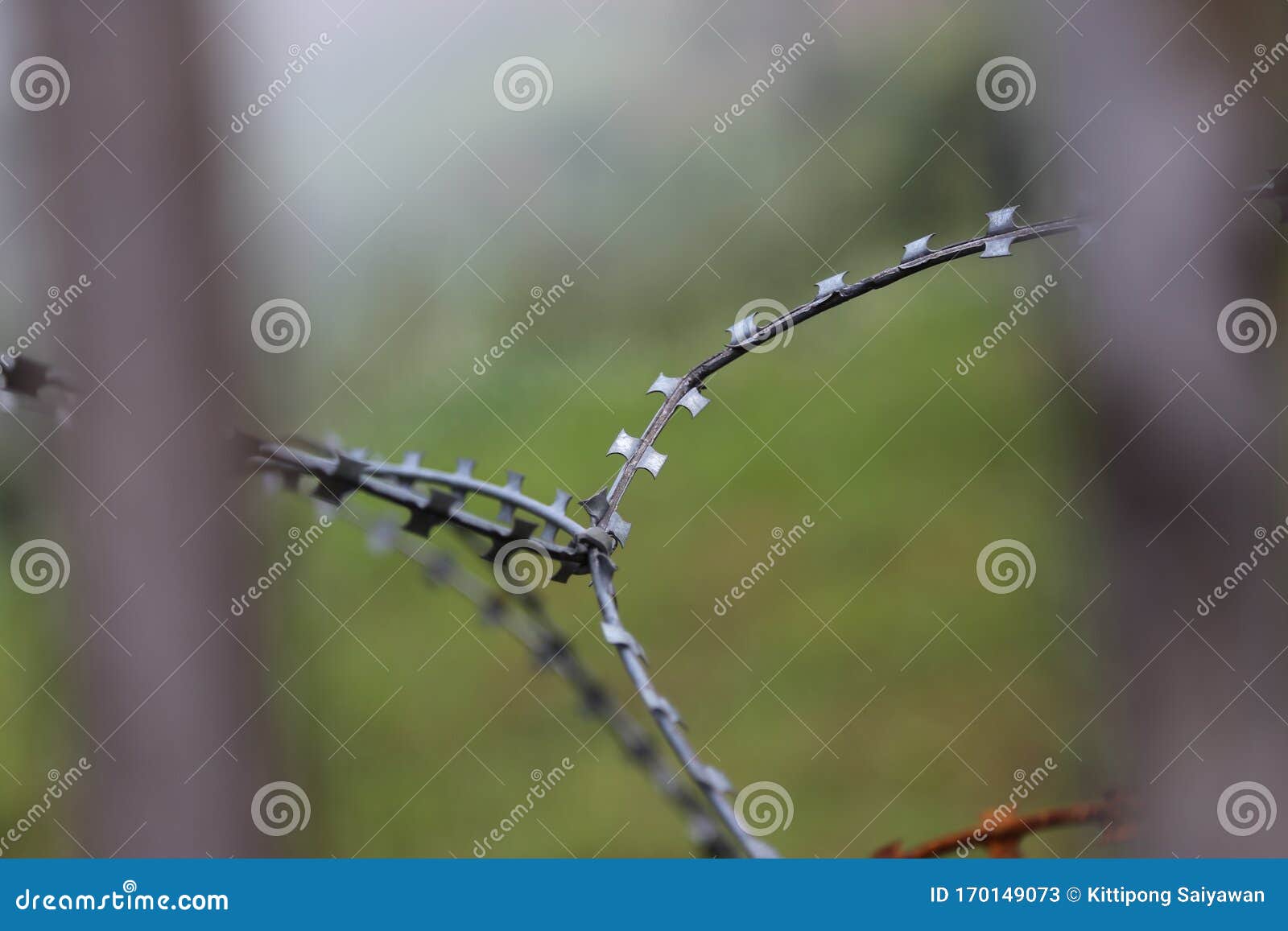 Close Up Shot of a Sharp Barbed Wire Stock Image - Image of sunset ...