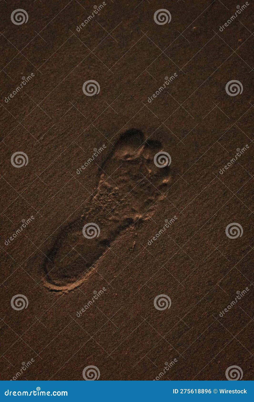 Close-up Shot of a Single Human Footprint in the Sand Stock Photo ...