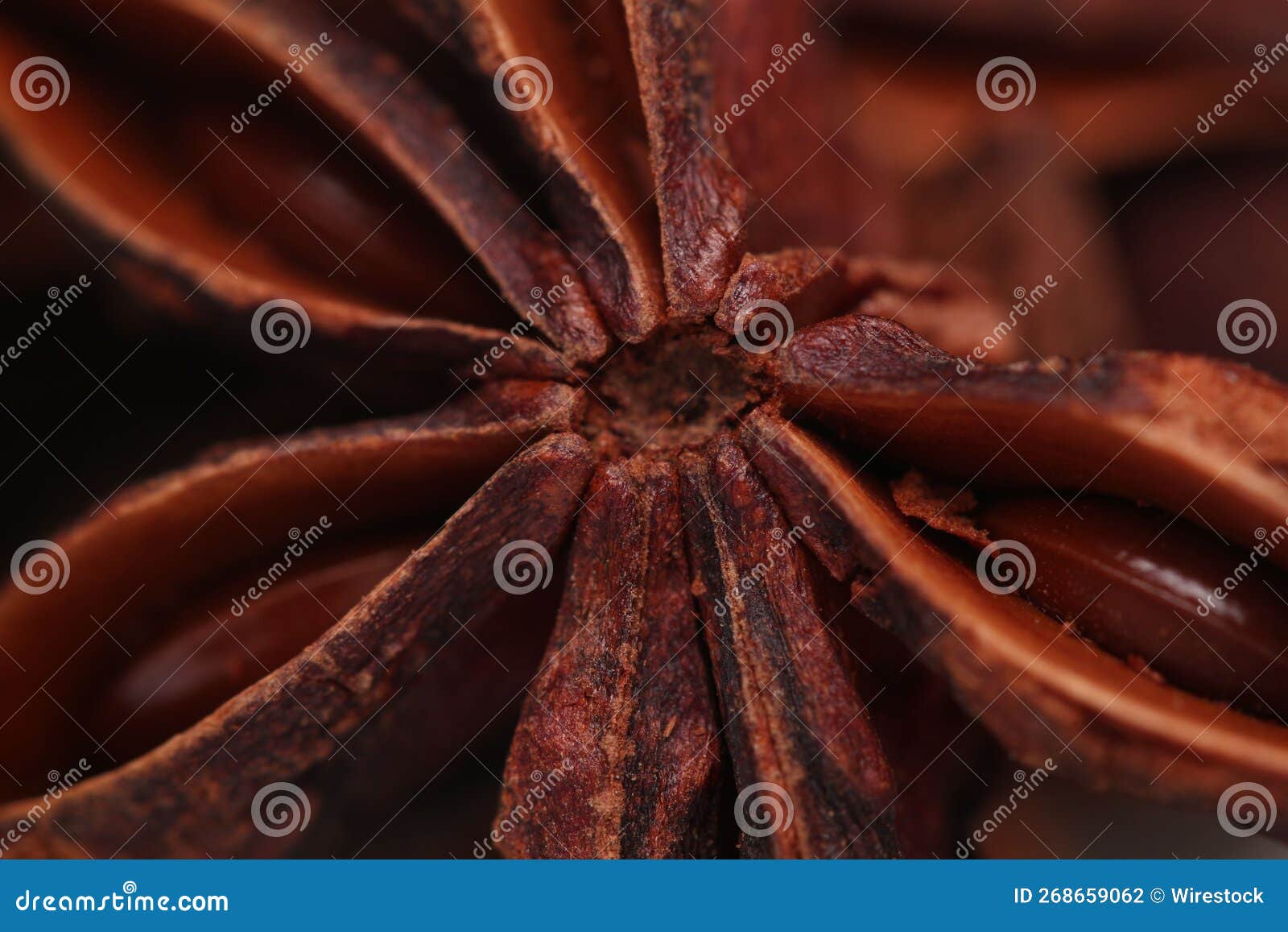 Close-up Shot of a Star Anise Stock Photo - Image of closeup, texture ...