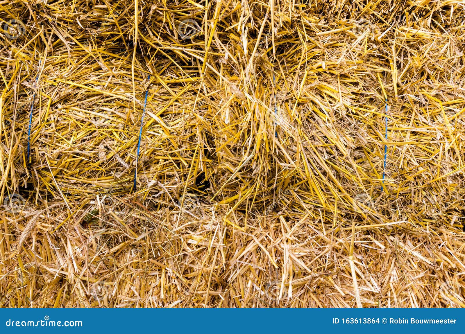Close up shot of straw stock photo. Image of farm, farming - 163613864