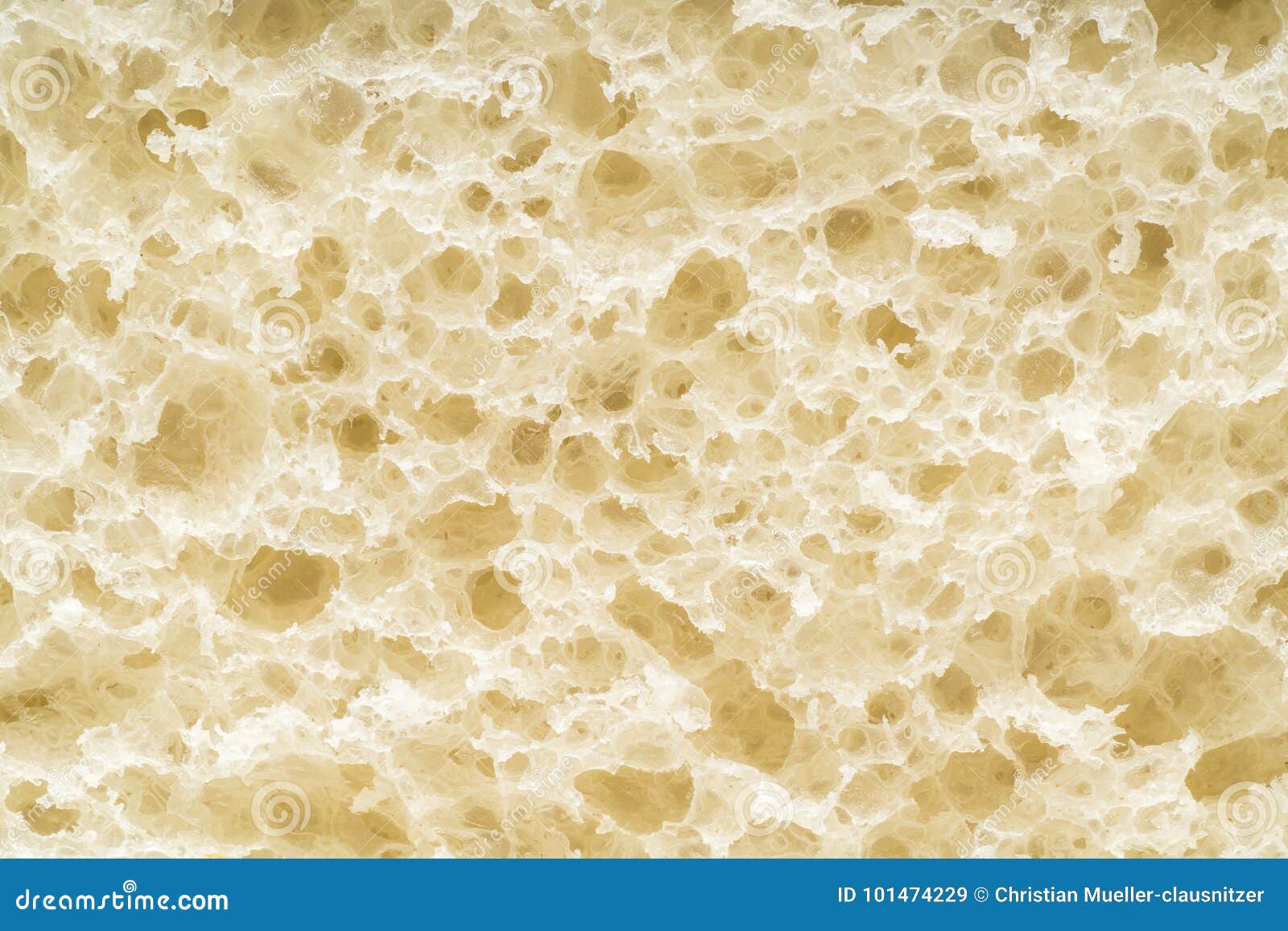 Bread structure stock image. Image of white, bakery - 101474229