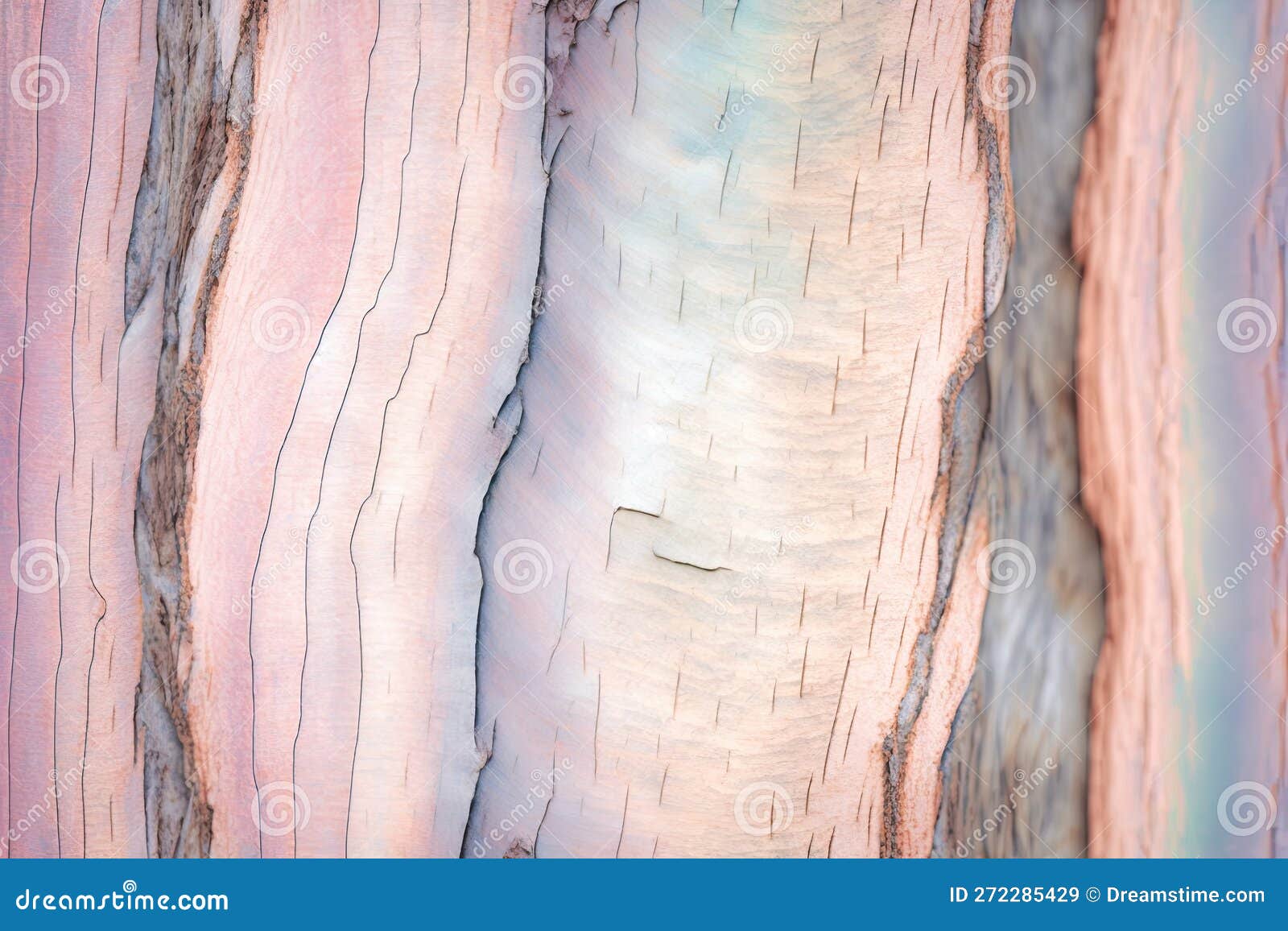 Close-up Shot of the Texture of a Tree with Pink Bark. Generated by AI ...