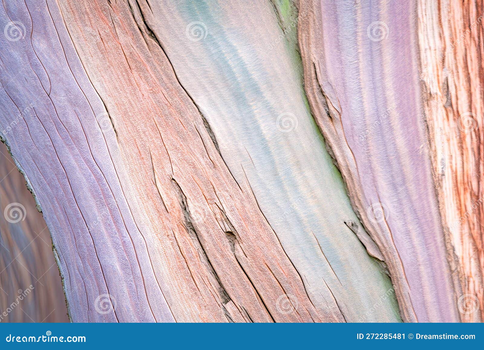 Close-up Shot of the Texture of a Tree with Pink Bark. Generated by AI ...
