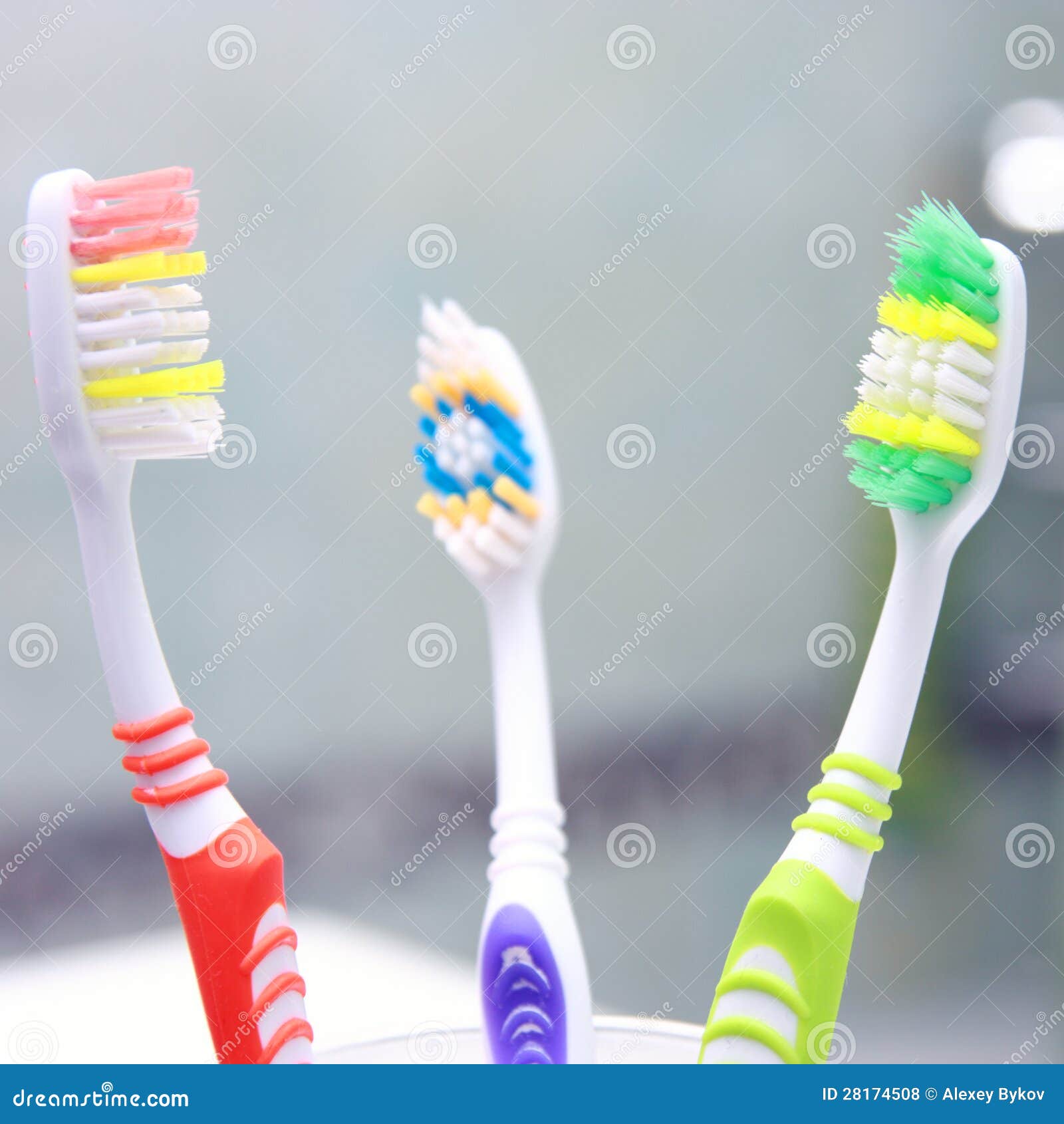 Close Up Shot of Toothbrush. Stock Photo - Image of three, morning ...