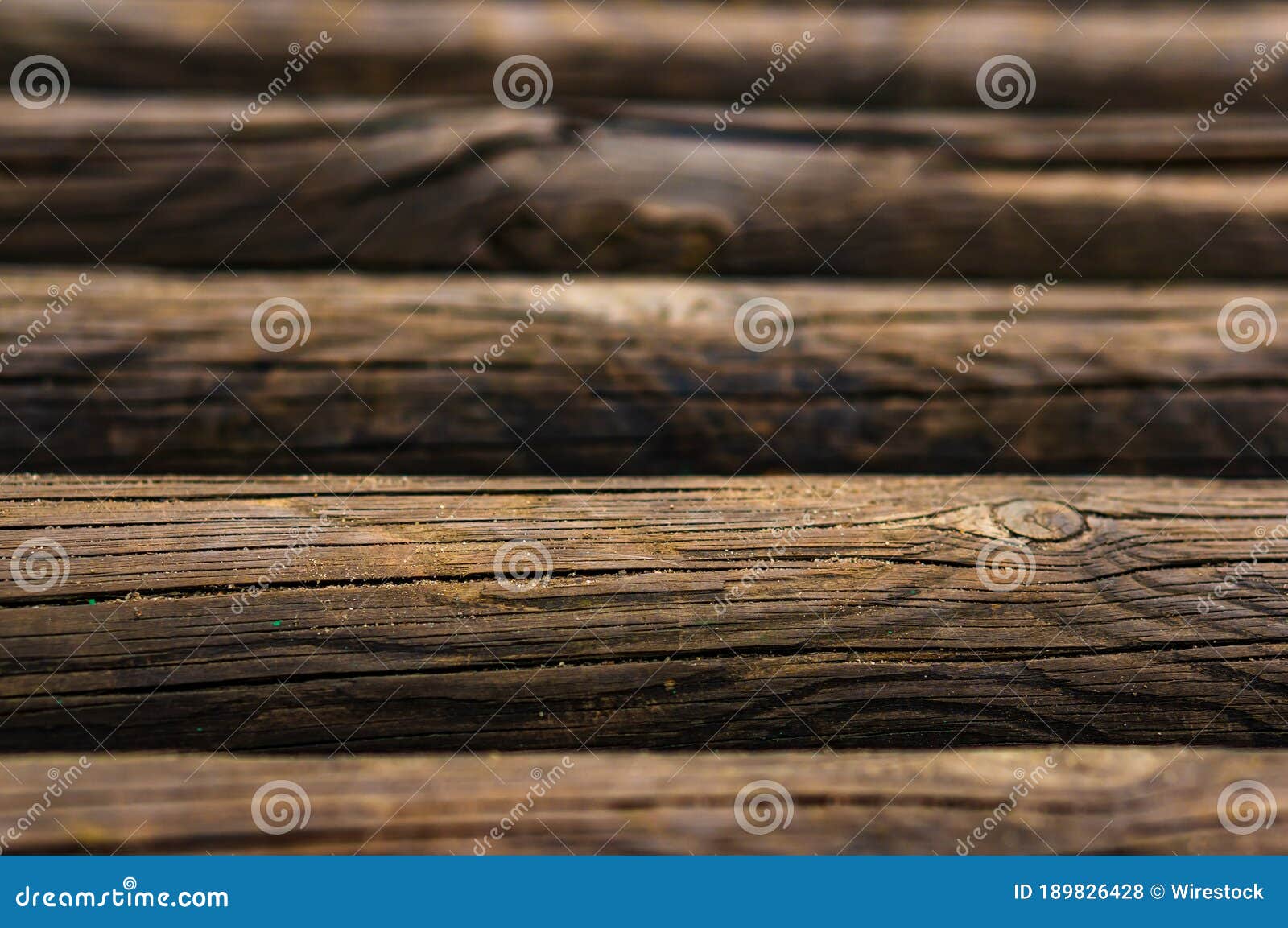 Close Up Shot of Tree Logs Put Together Stock Photo - Image of grass ...