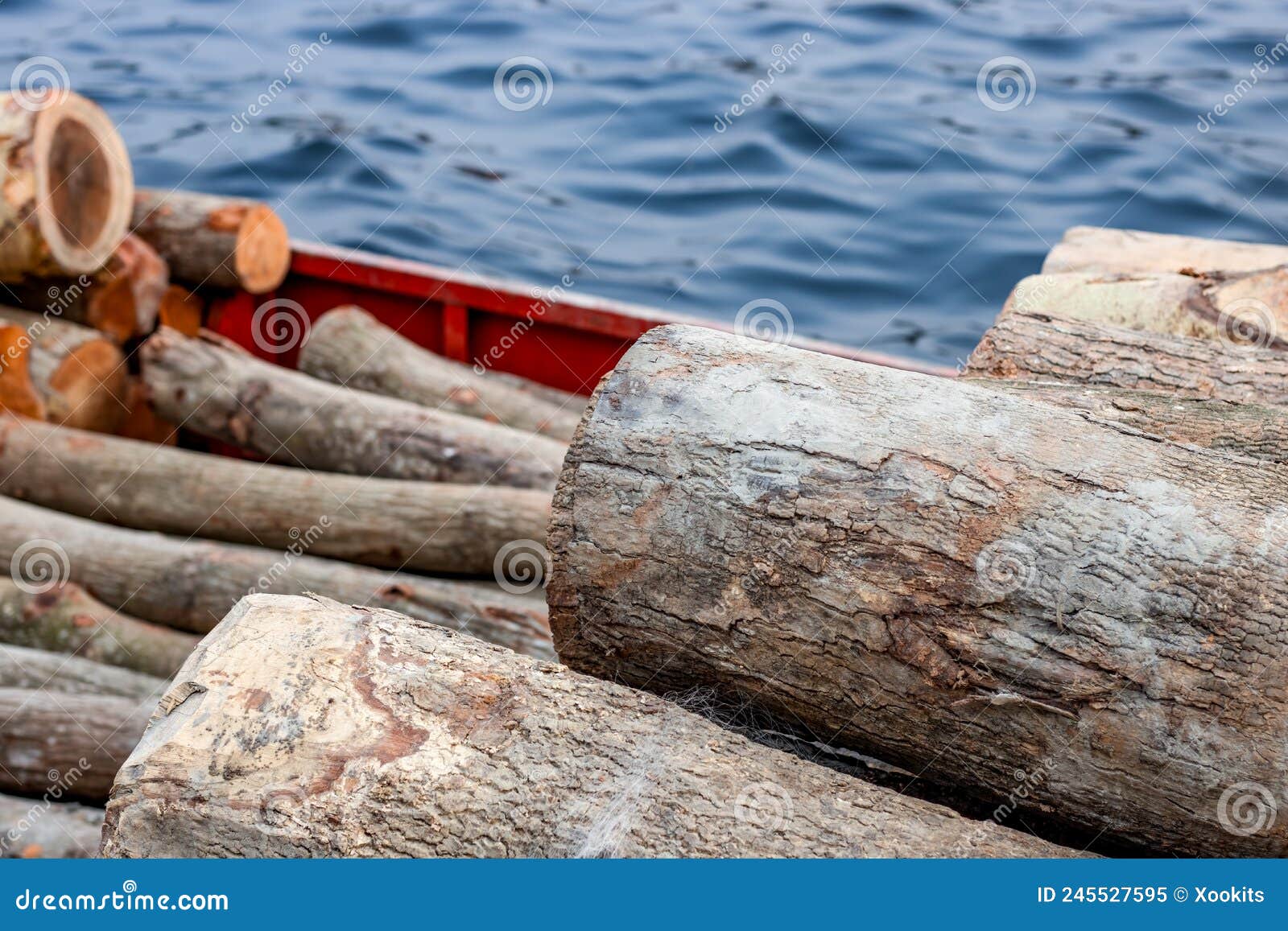 Close Up Shot of Tree Trunks on a Transport Boat Stock Image - Image of ...